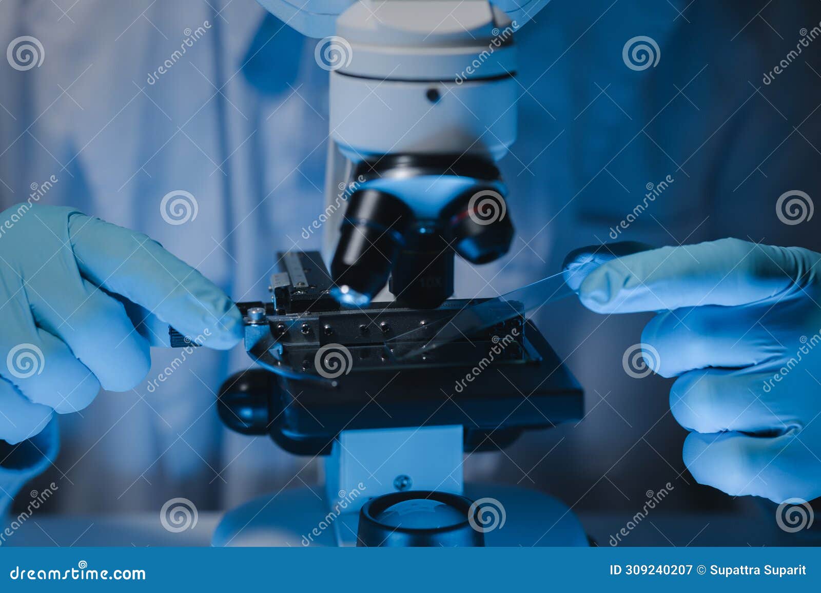 A Scientist is Studying Samples Using a Microscope To Study and Develop ...