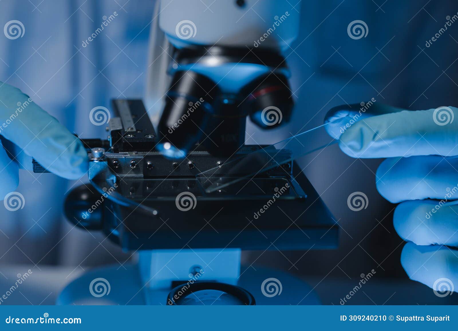 A Scientist is Studying Samples Using a Microscope To Study and Develop ...