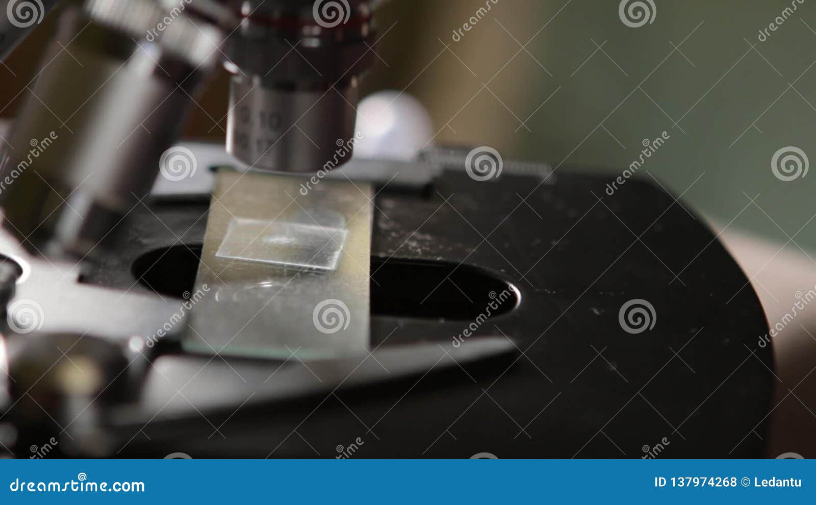 Scientist Studying Specimen with Microscope Stock Footage - Video of ...