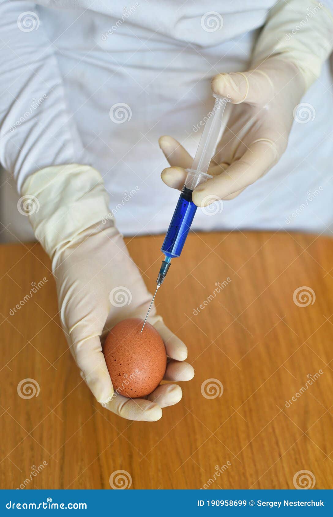 Scientist with Syringe and Egg Stock Image - Image of modify ...