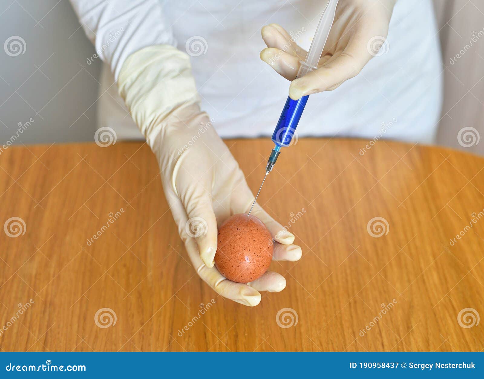 Scientist with Syringe and Egg Stock Image - Image of biology ...