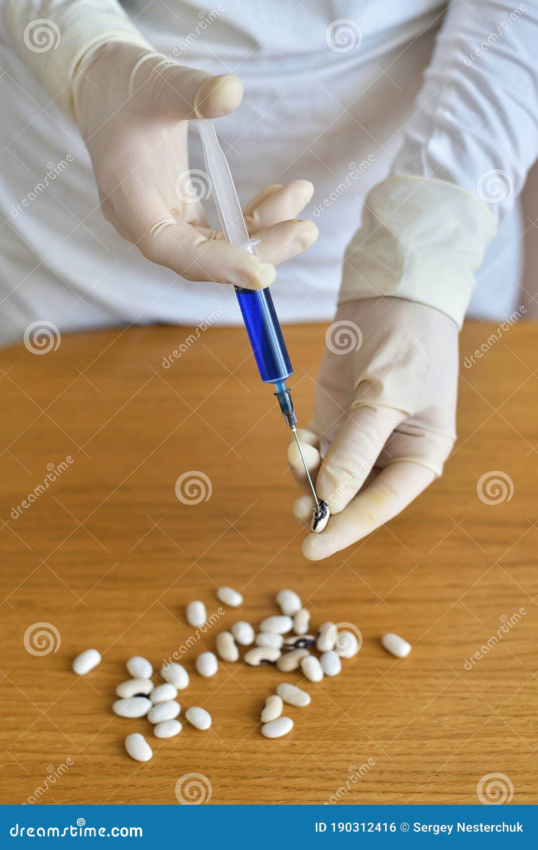 Scientist with Syringe and Kidney Bean Stock Photo - Image of ...