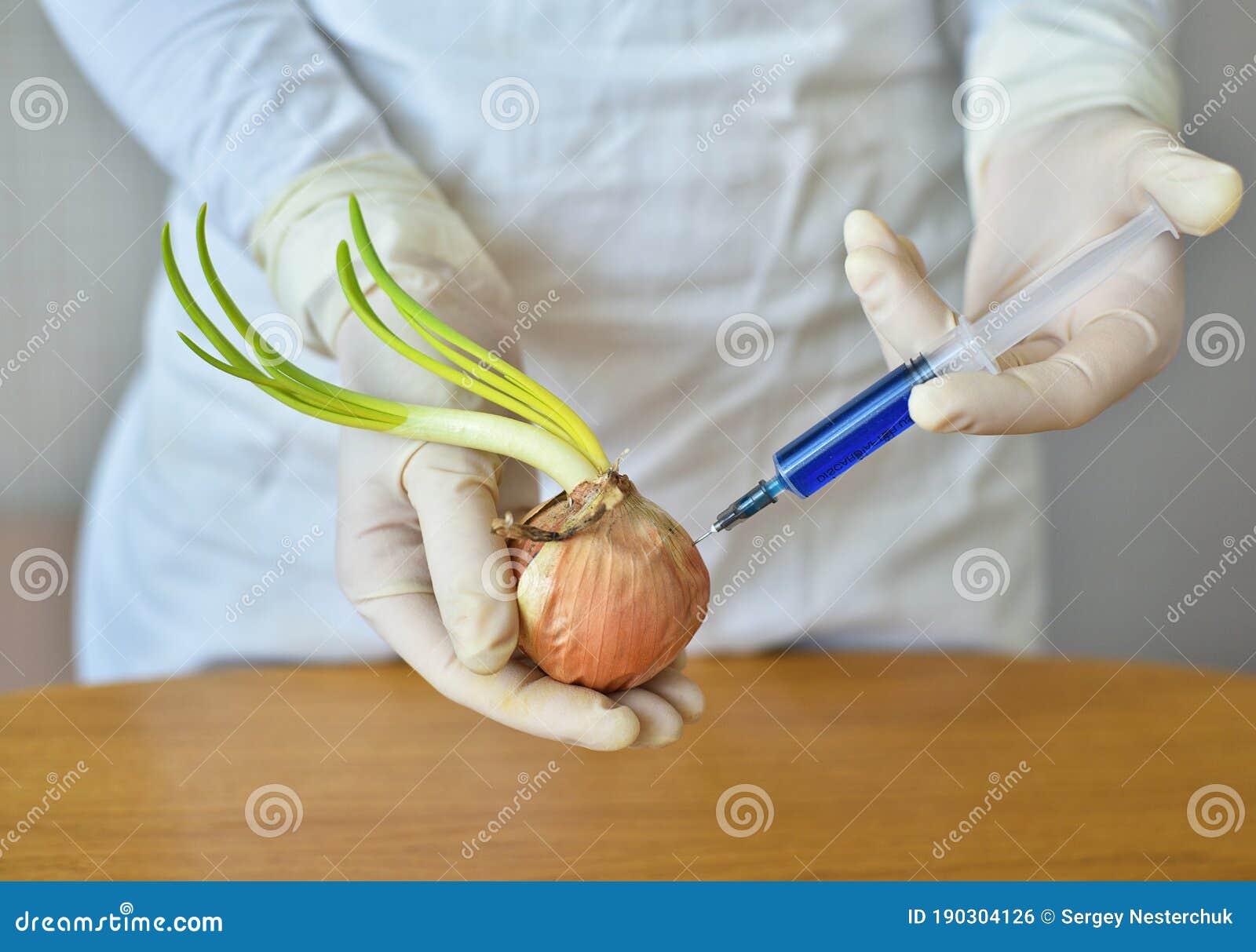 Scientist with Syringe and Onion Stock Photo - Image of biotechnology ...