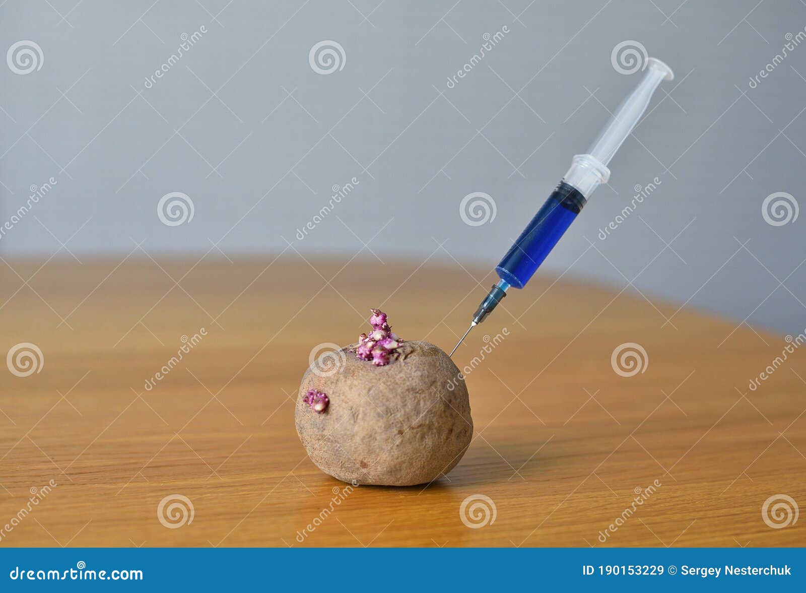 Scientist with Syringe and Potato Stock Image - Image of modified ...