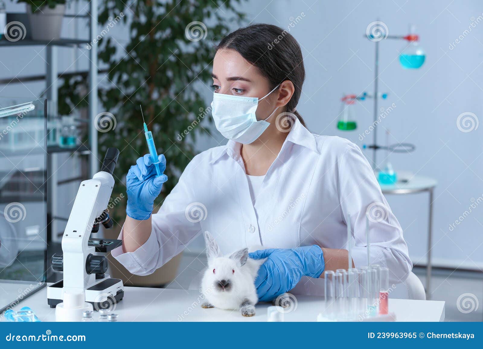 Scientist with Syringe and Rabbit in Chemical Laboratory. Animal ...