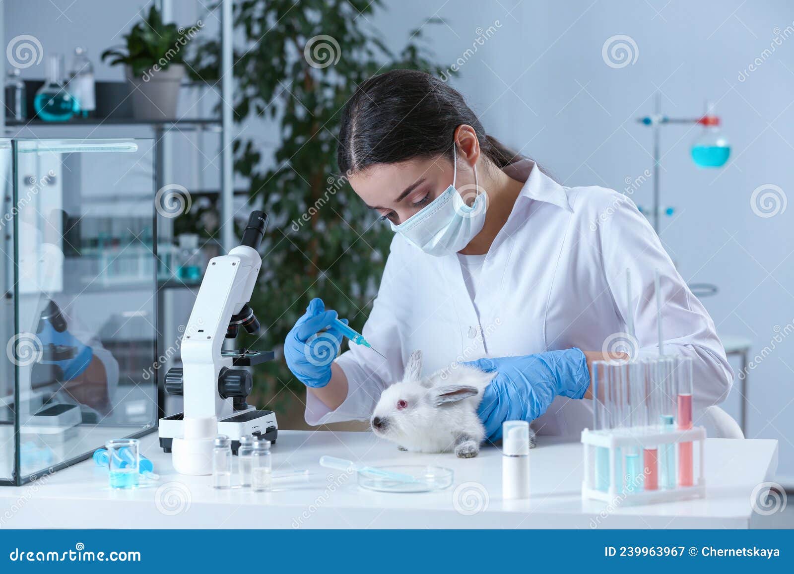 Scientist with Syringe and Rabbit in Chemical Laboratory. Animal ...