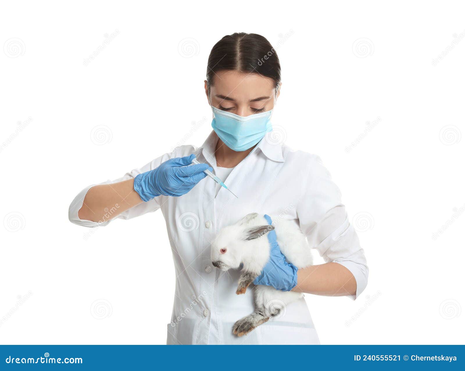 Scientist with Syringe and Rabbit on White Background. Animal Testing ...