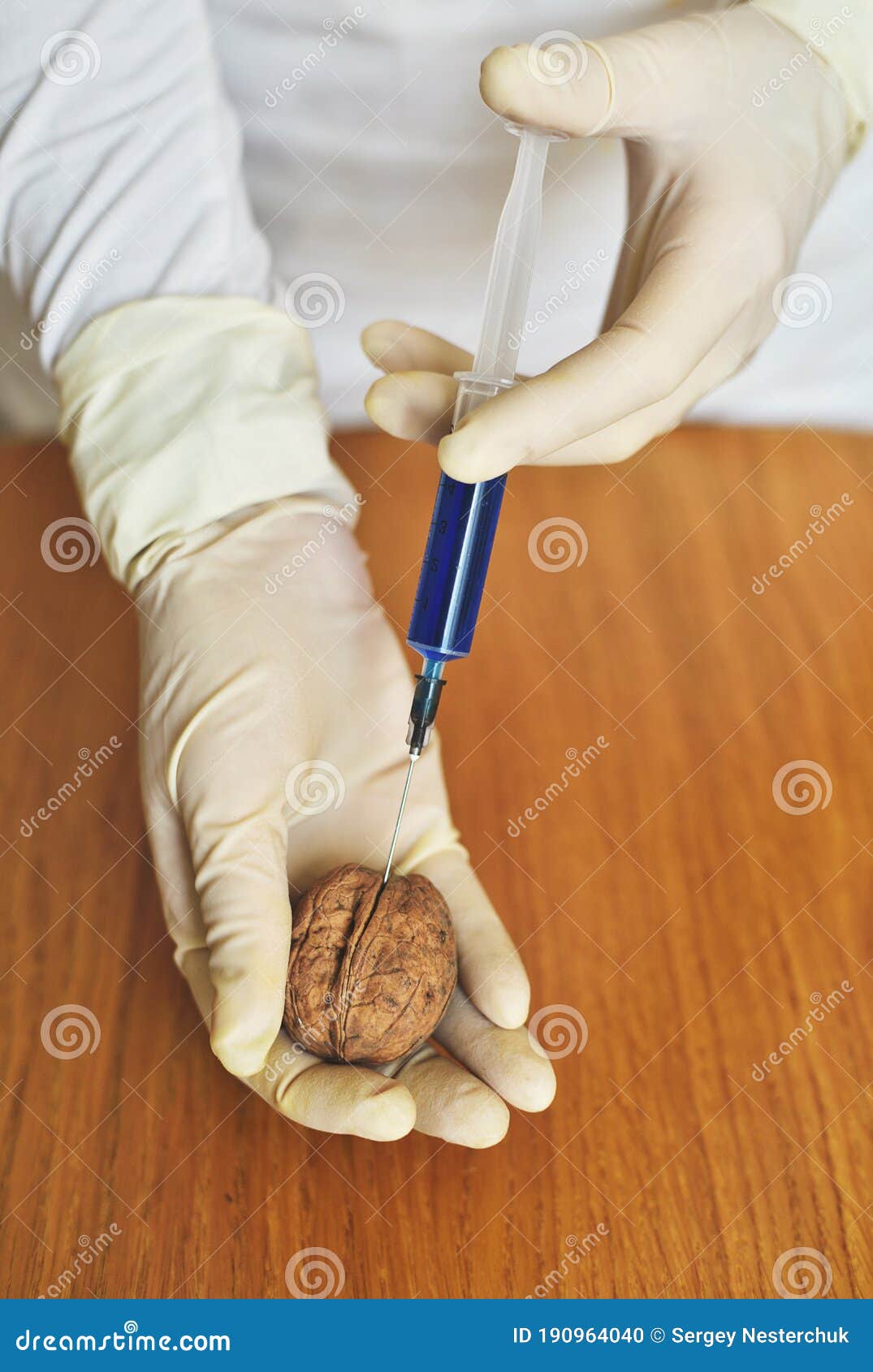 Scientist with Syringe and Walnut Stock Photo - Image of biotechnology ...