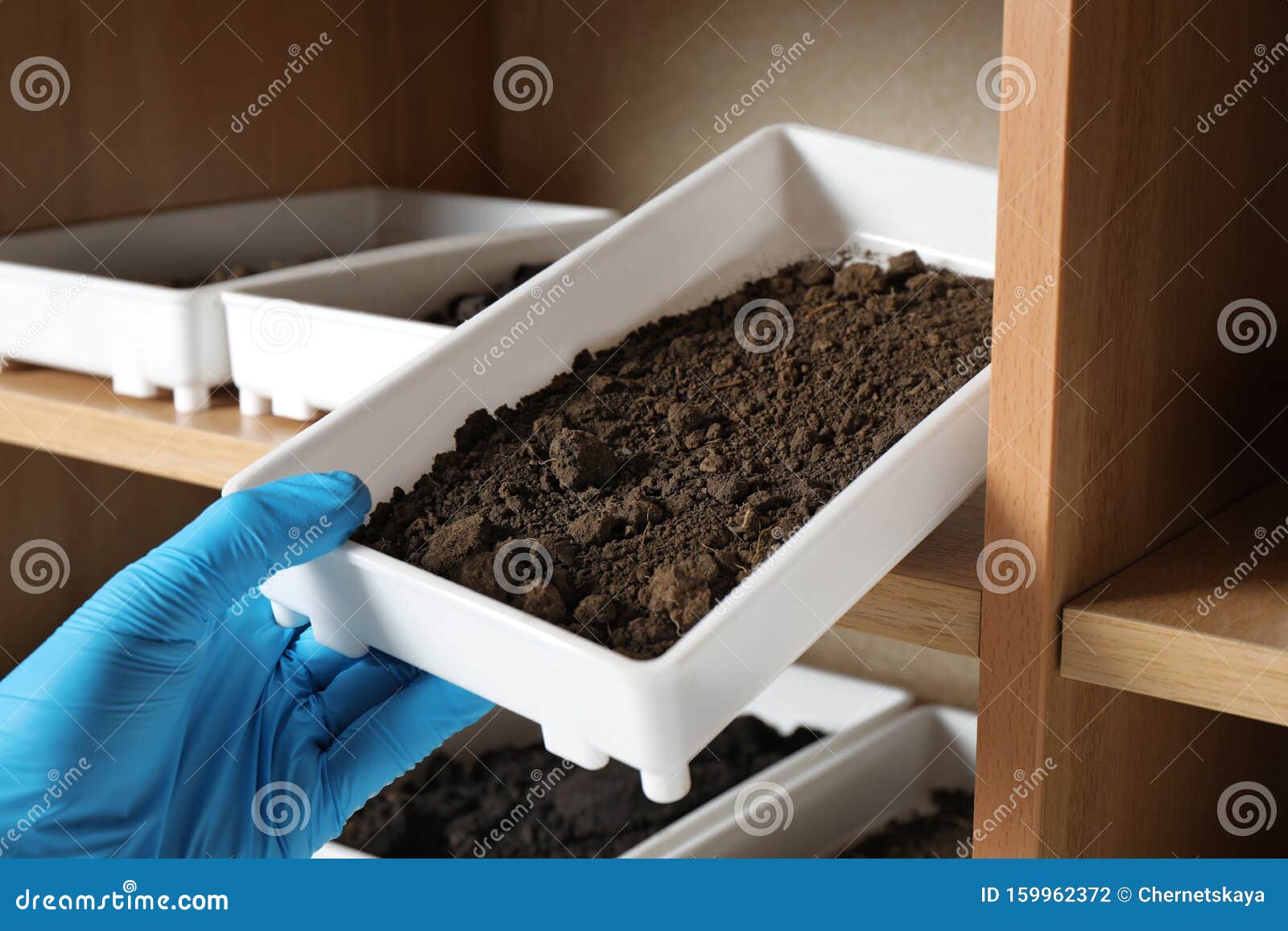 Scientist Taking Container with Soil Sample for Agriculture Analysis in ...