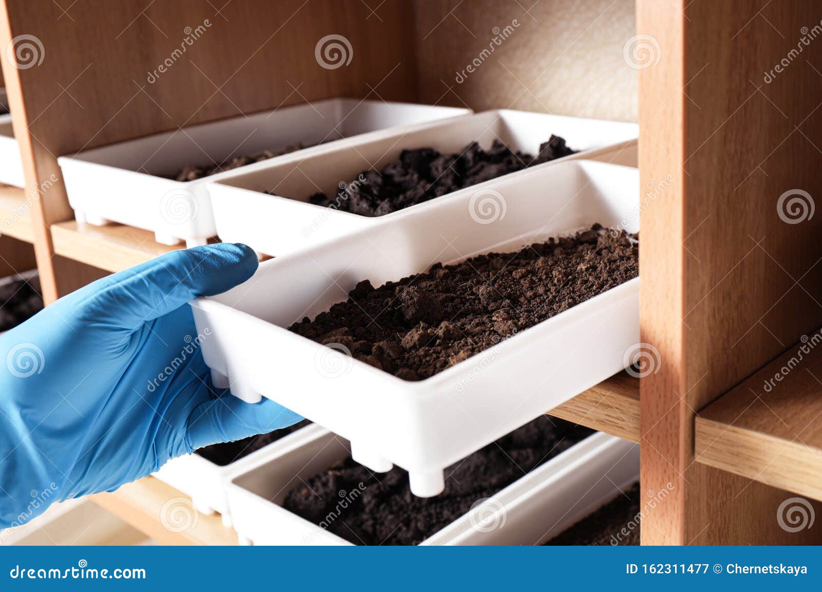 Scientist Taking Container with Soil Sample for Agriculture Analysis in ...