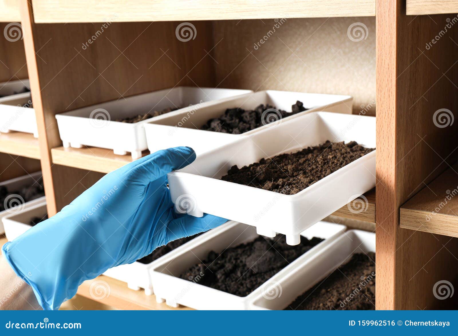 Scientist Taking Container with Soil Sample for Agriculture Analysis in ...