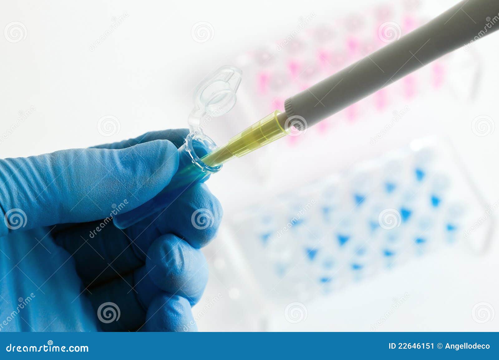 Scientist taking a sample stock image. Image of biochemistry - 22646151