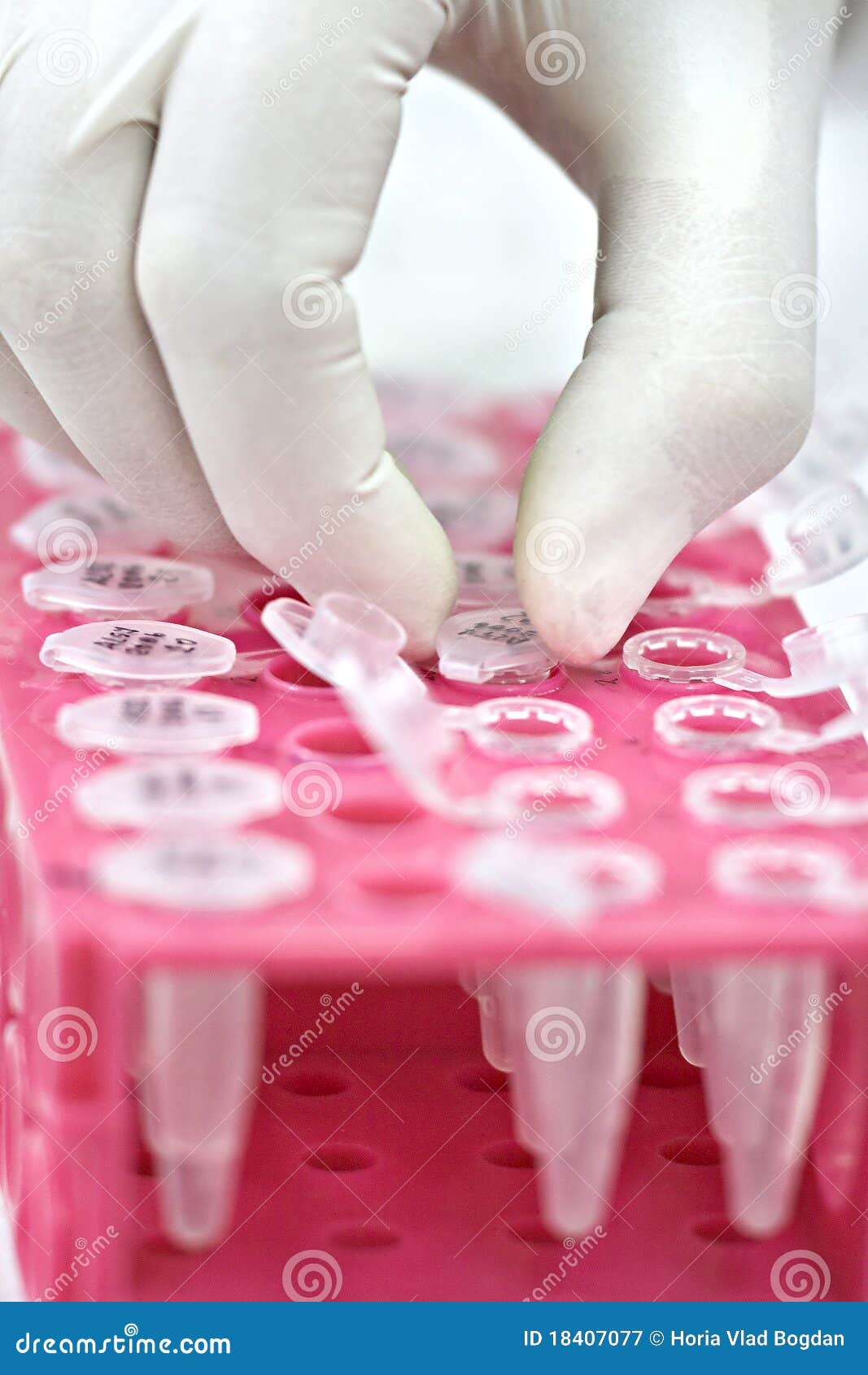 Scientist Taking Samples from a Rack of Vials Stock Image - Image of ...