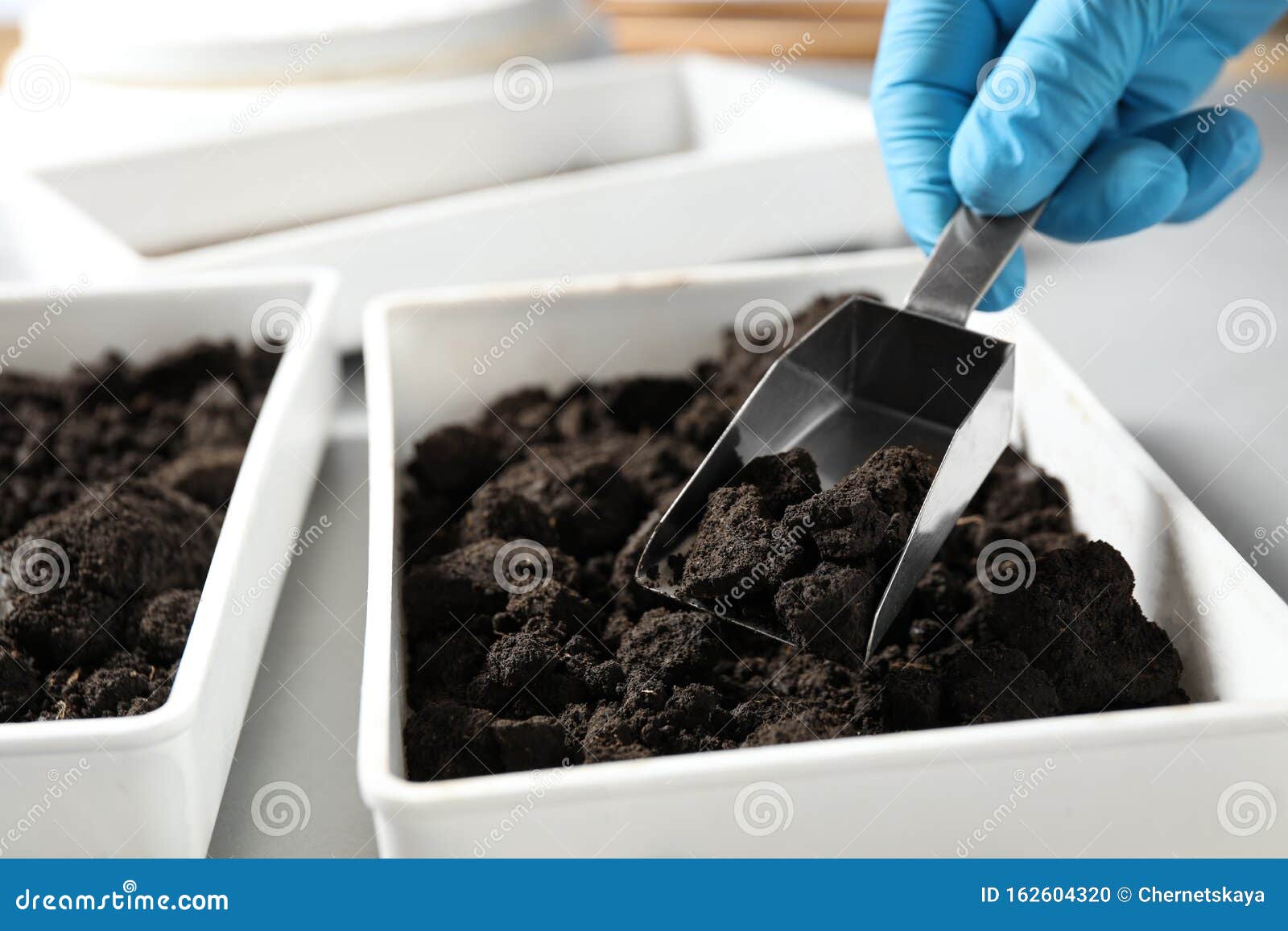 Scientist Taking Soil Sample from Container. Laboratory Research Stock ...