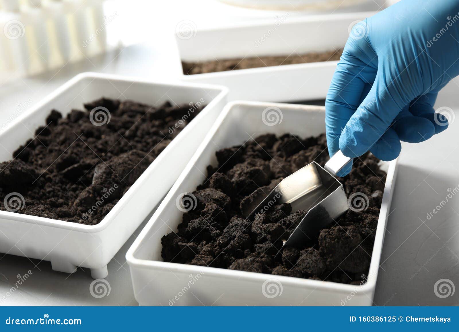 Scientist Taking Soil Sample from Container. Laboratory Research Stock ...