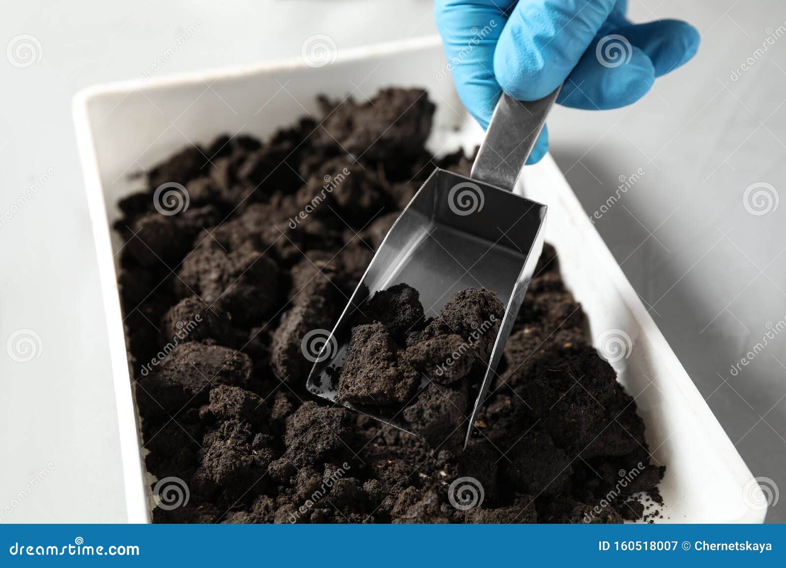 Scientist Taking Soil Sample from Container. Laboratory Research Stock ...