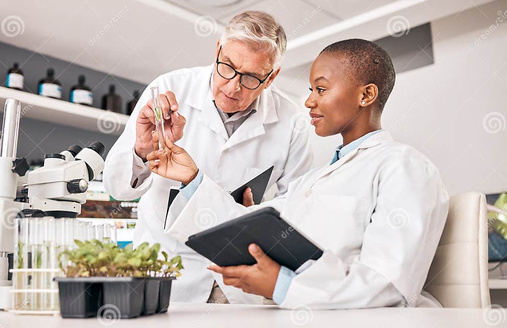 Scientist, Test Tube and Teamwork for Plants, Agriculture Solution and ...