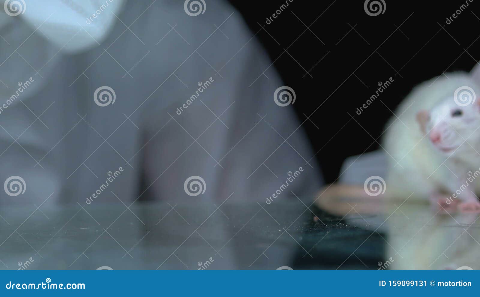 Scientist Testing Biohazardous Liquid on Test Rat in Lab, Weapons ...