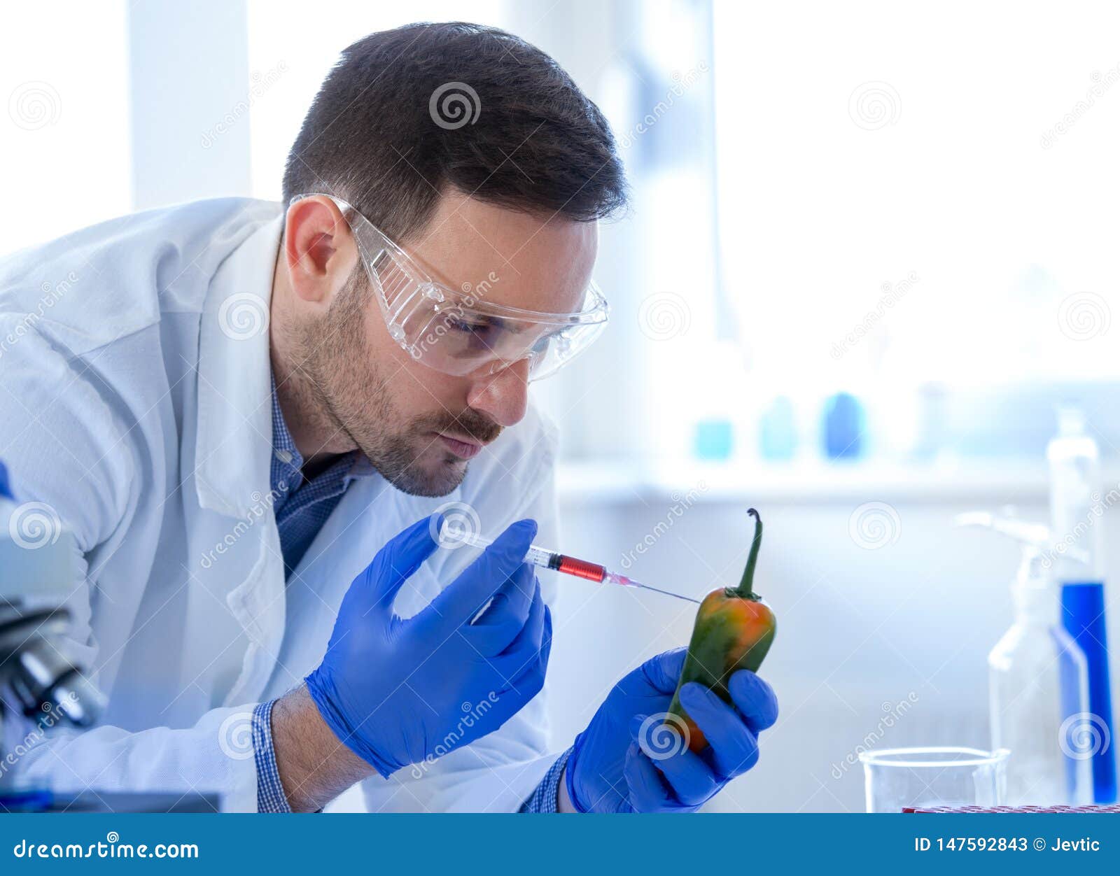 Scientist Testing Pepper in Lab Stock Image - Image of experiment ...