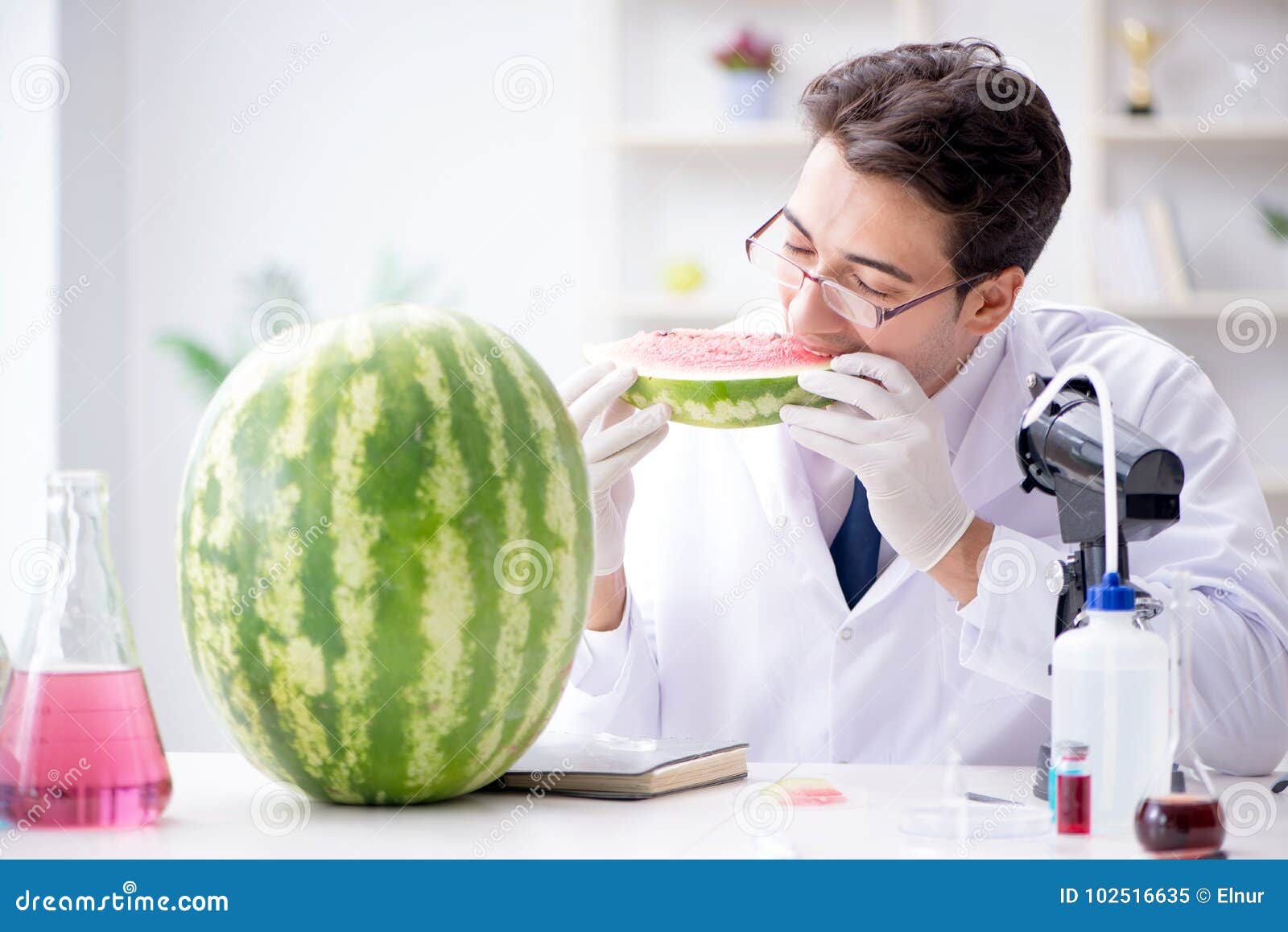 The Scientist Testing Watermelon in Lab Stock Image - Image of ...