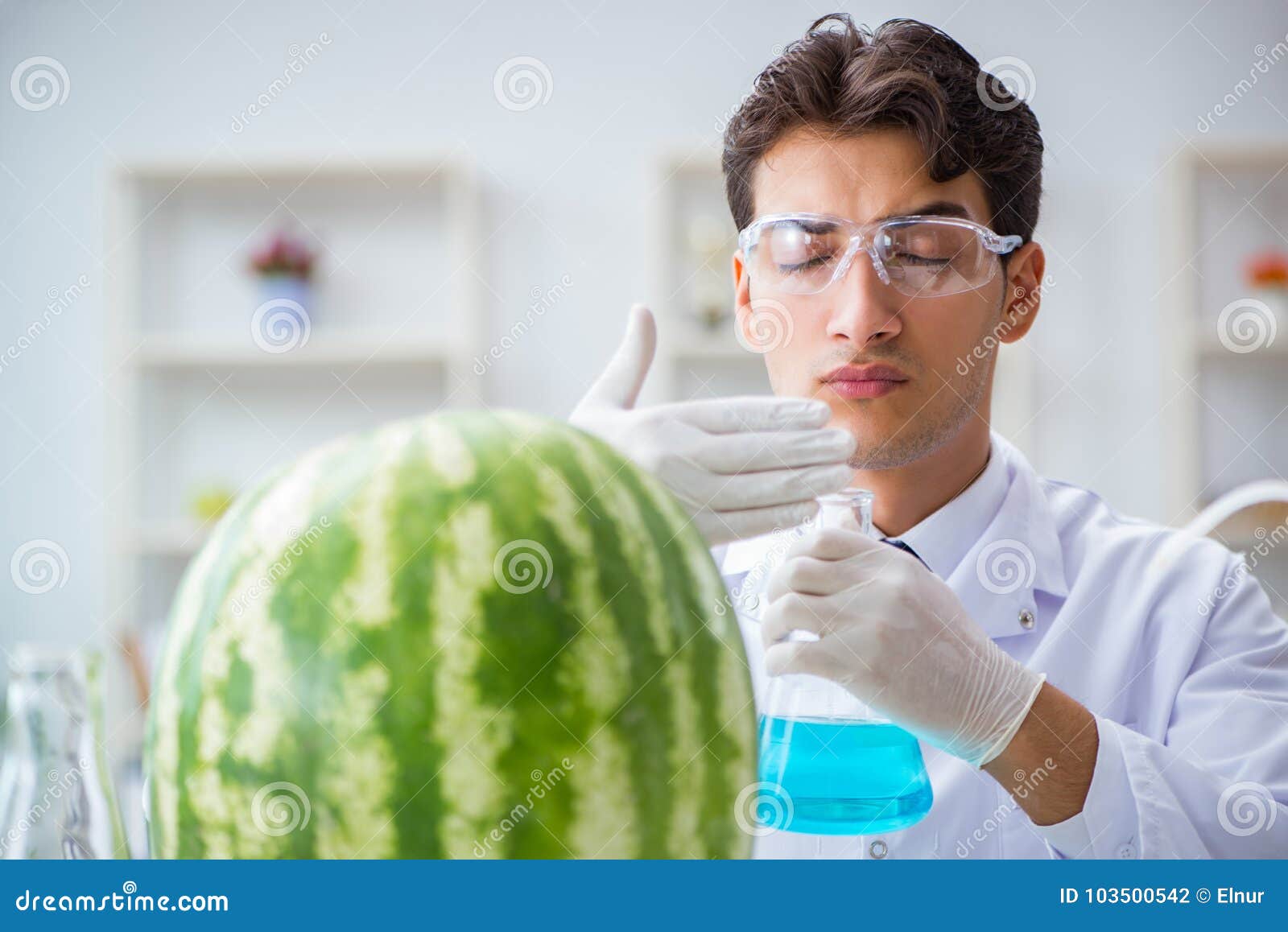 The Scientist Testing Watermelon in Lab Stock Photo - Image of medical ...