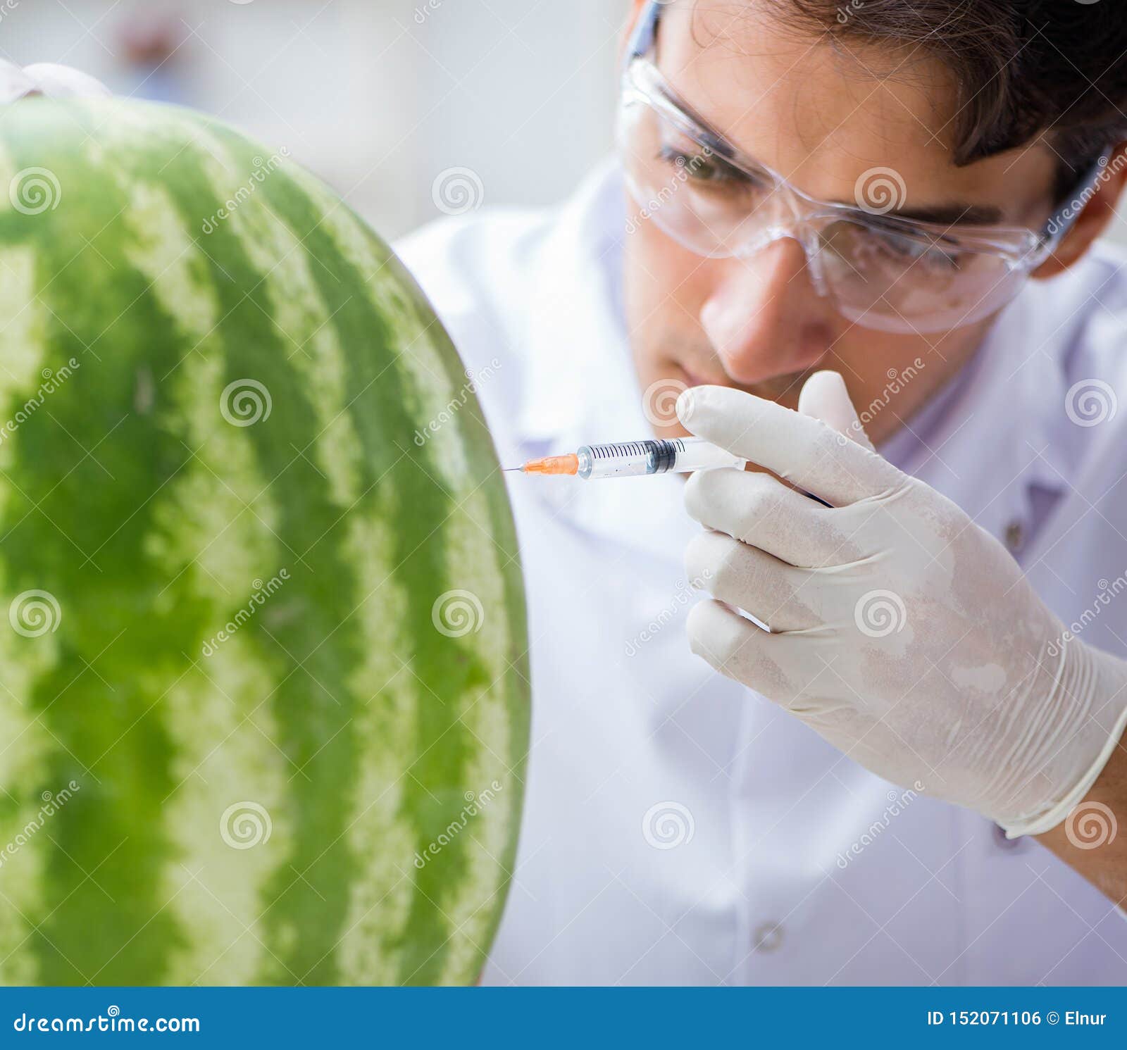 Scientist Testing Watermelon in Lab Stock Photo - Image of natural ...