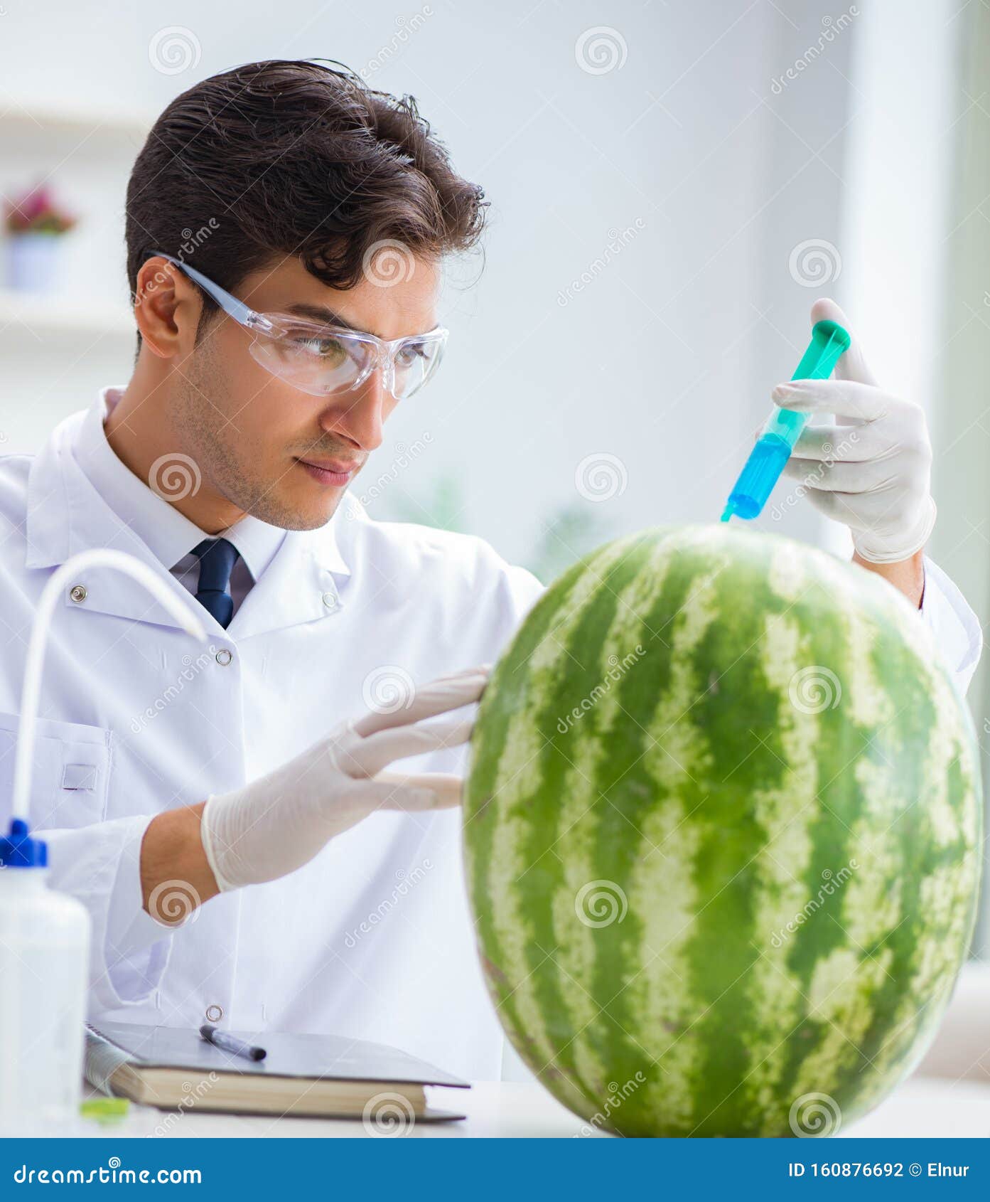 Scientist Testing Watermelon in Lab Stock Photo - Image of healthy ...