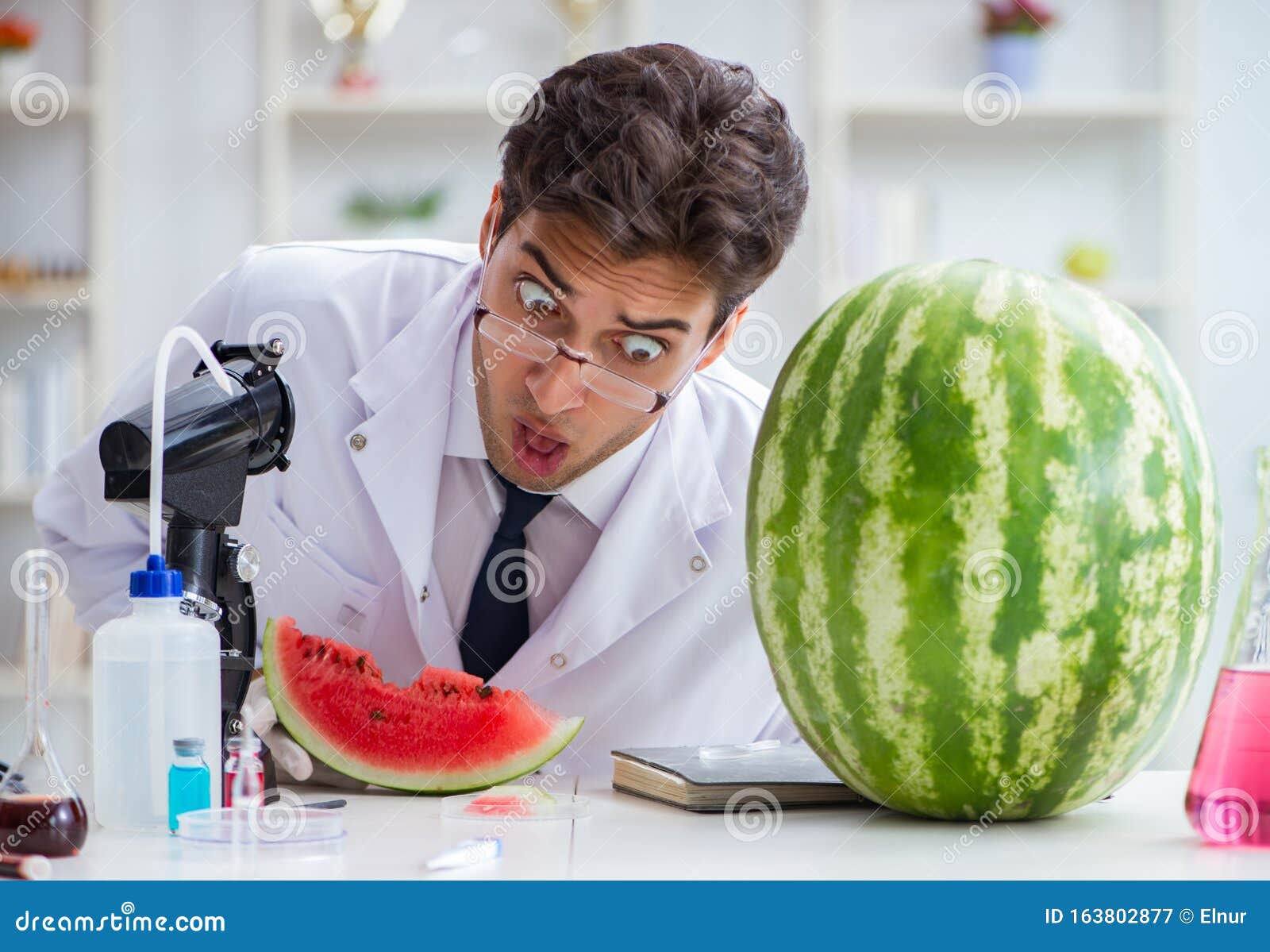 Scientist Testing Watermelon in Lab Stock Image - Image of medical ...