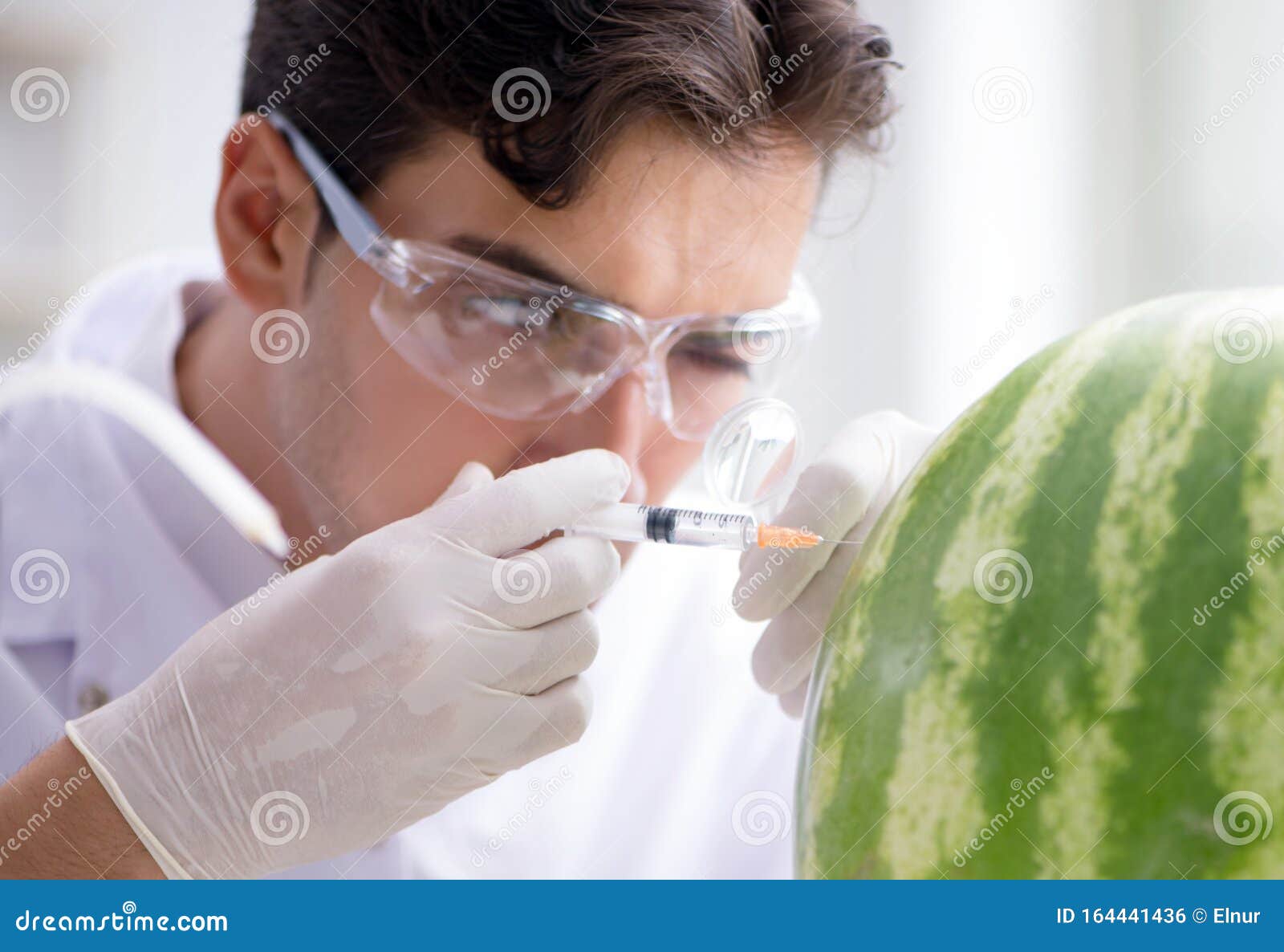 Scientist Testing Watermelon in Lab Stock Photo - Image of discovery ...