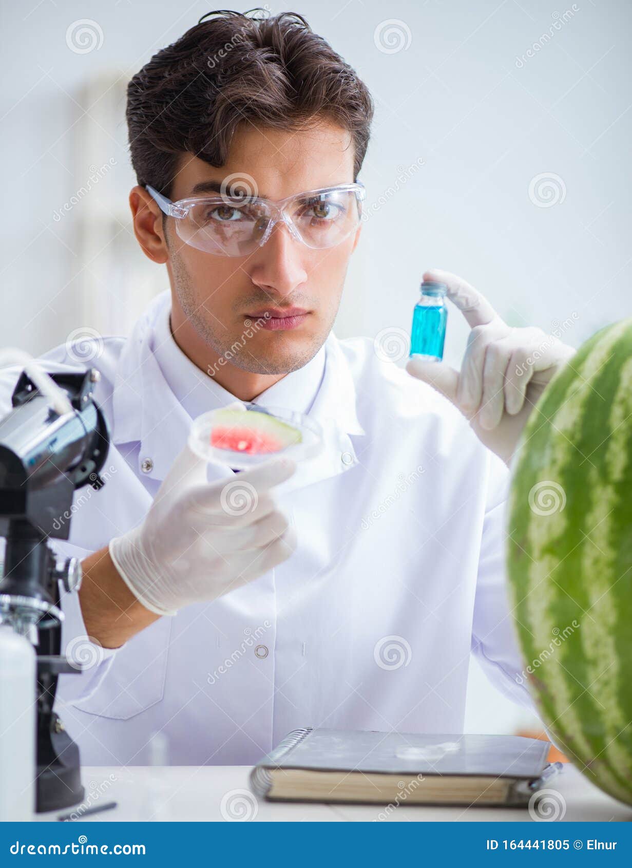 Scientist Testing Watermelon in Lab Stock Image - Image of fruit ...