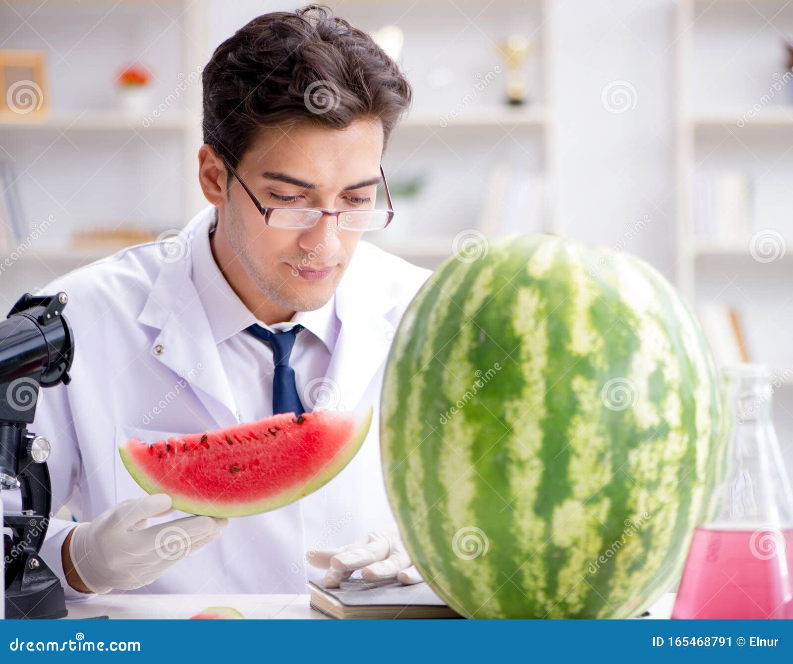 Scientist Testing Watermelon in Lab Stock Image - Image of discovery ...