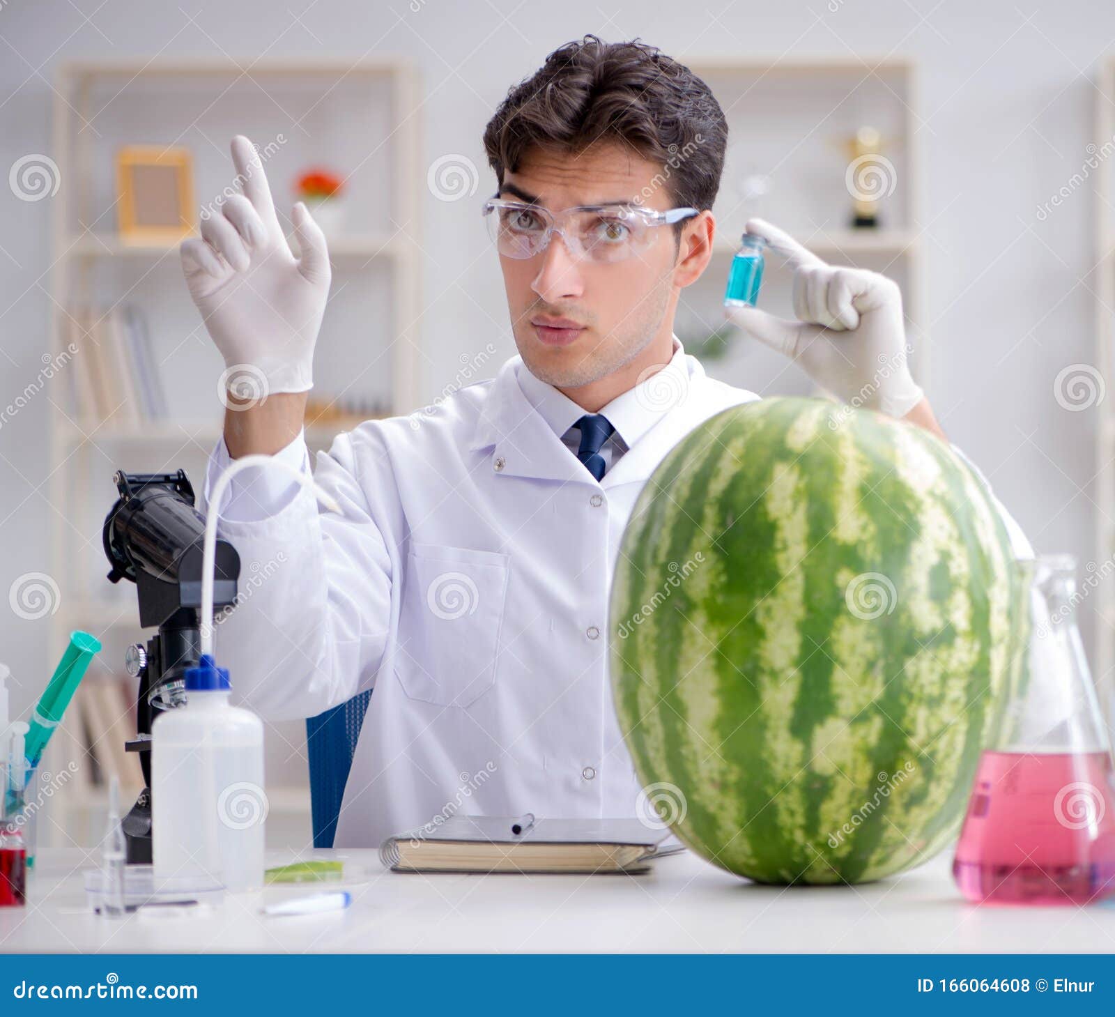 Scientist Testing Watermelon in Lab Stock Photo - Image of food ...