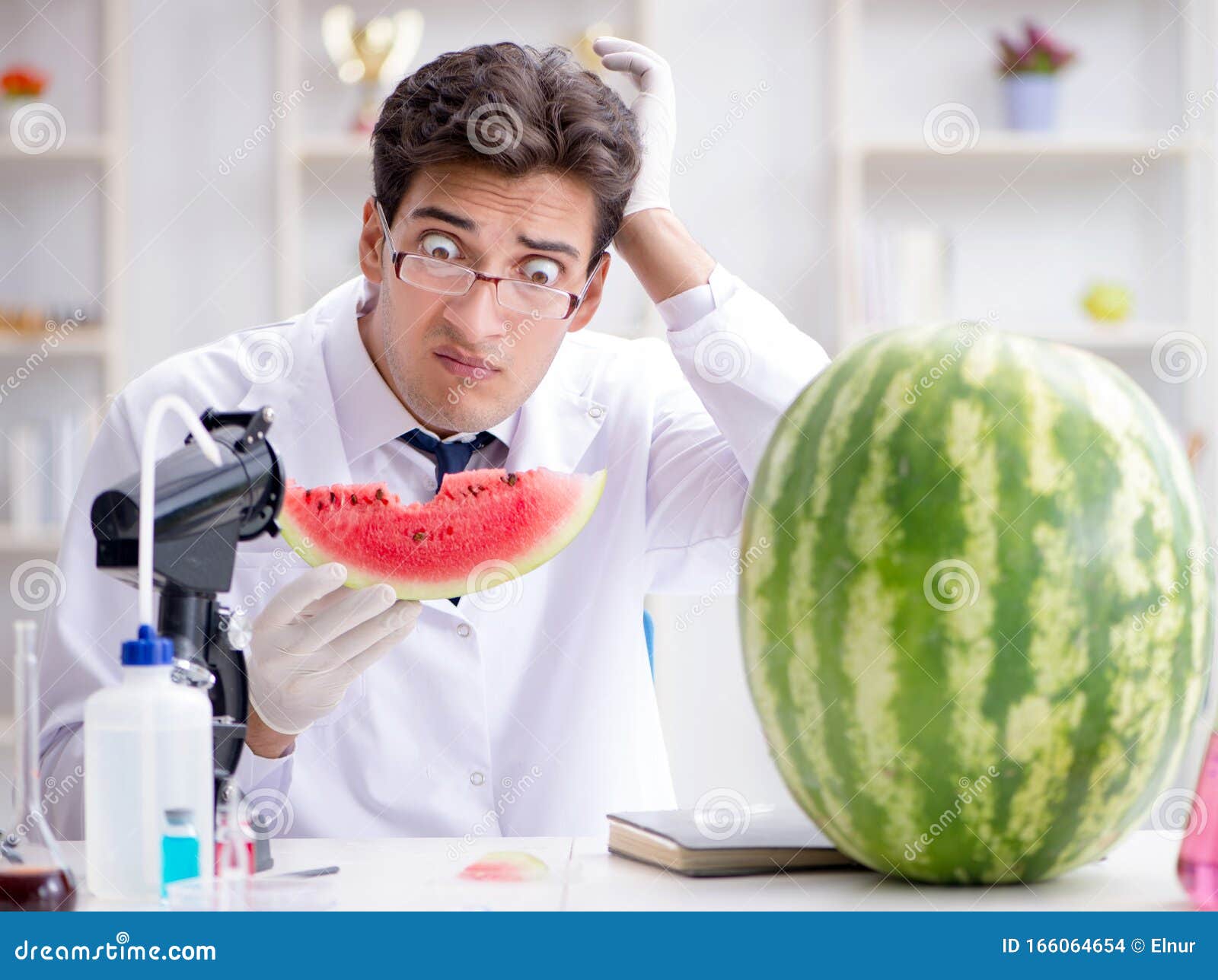 Scientist Testing Watermelon in Lab Stock Photo - Image of eating ...