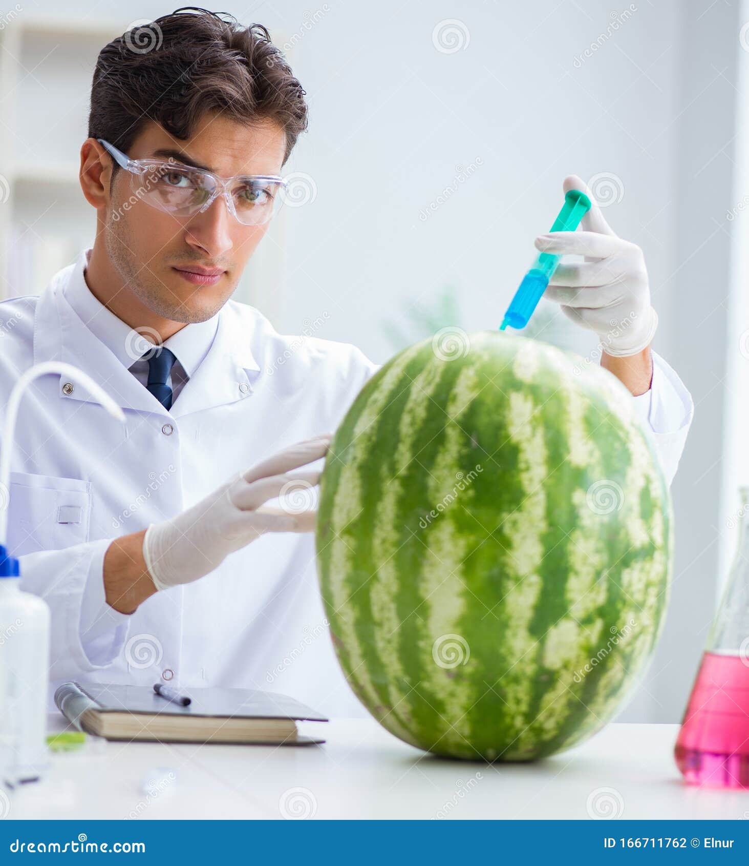 Scientist Testing Watermelon in Lab Stock Photo - Image of microscope ...