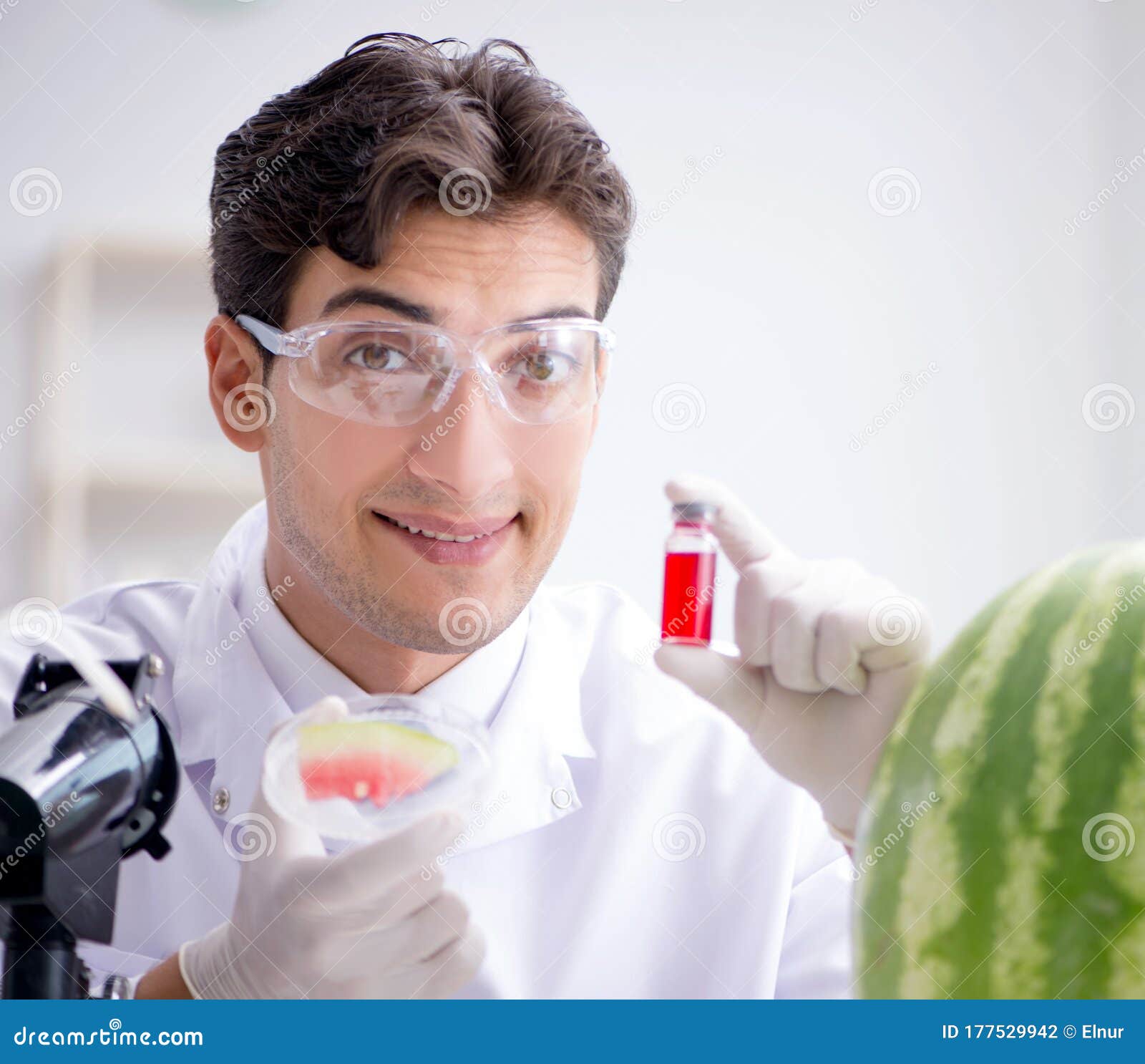 Scientist Testing Watermelon in Lab Stock Photo - Image of dieting ...
