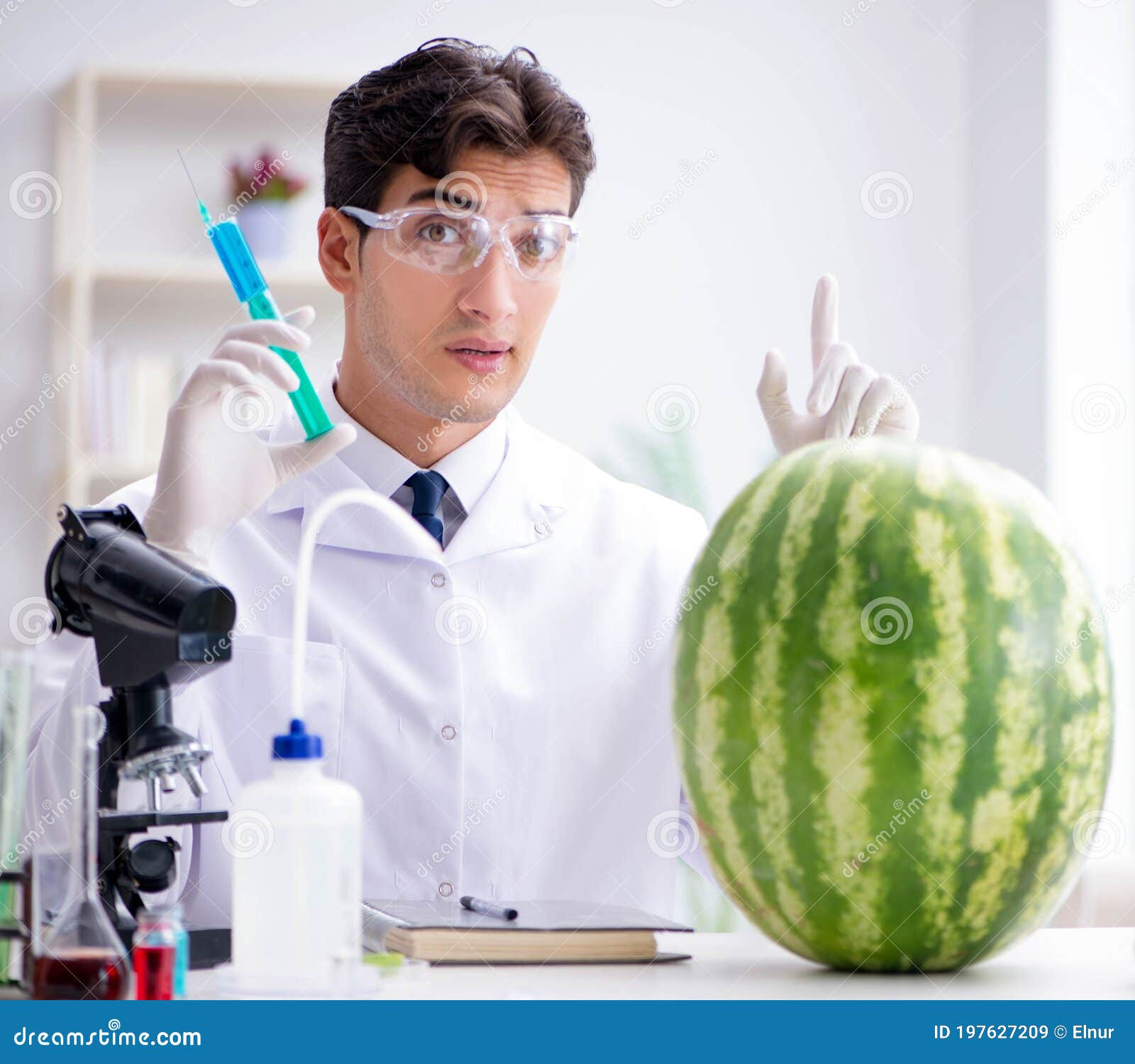 Scientist Testing Watermelon in Lab Stock Image - Image of healthy ...