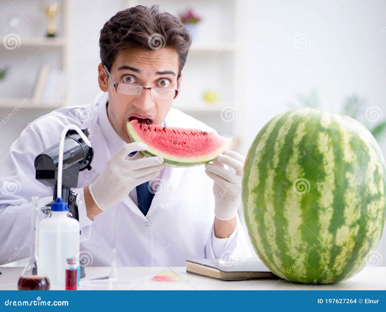 Scientist Testing Watermelon in Lab Stock Photo - Image of ...