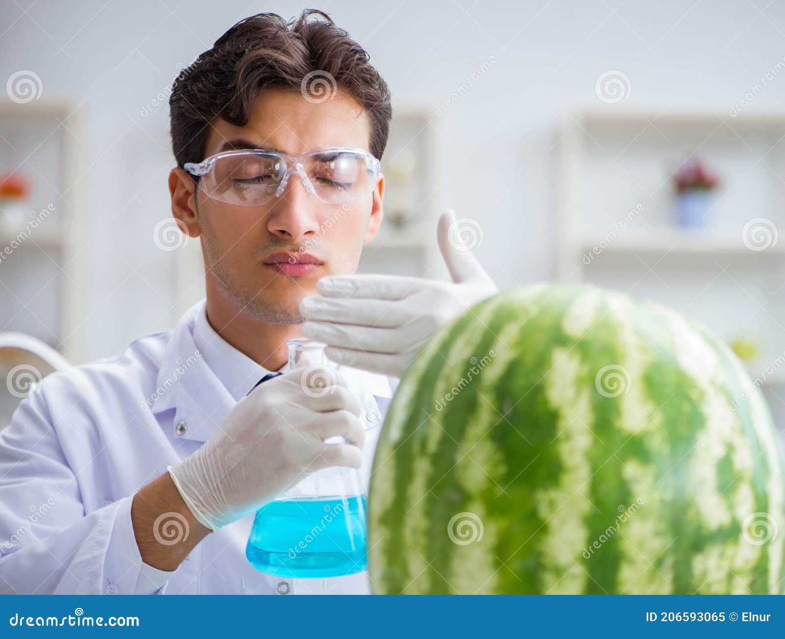 Scientist Testing Watermelon in Lab Stock Image - Image of checking ...