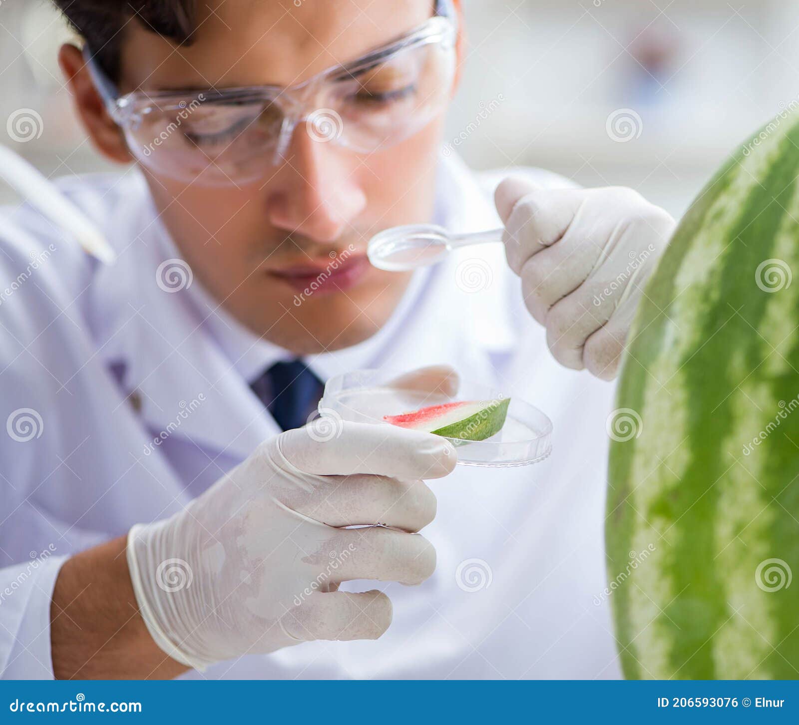 Scientist Testing Watermelon in Lab Stock Photo - Image of health ...