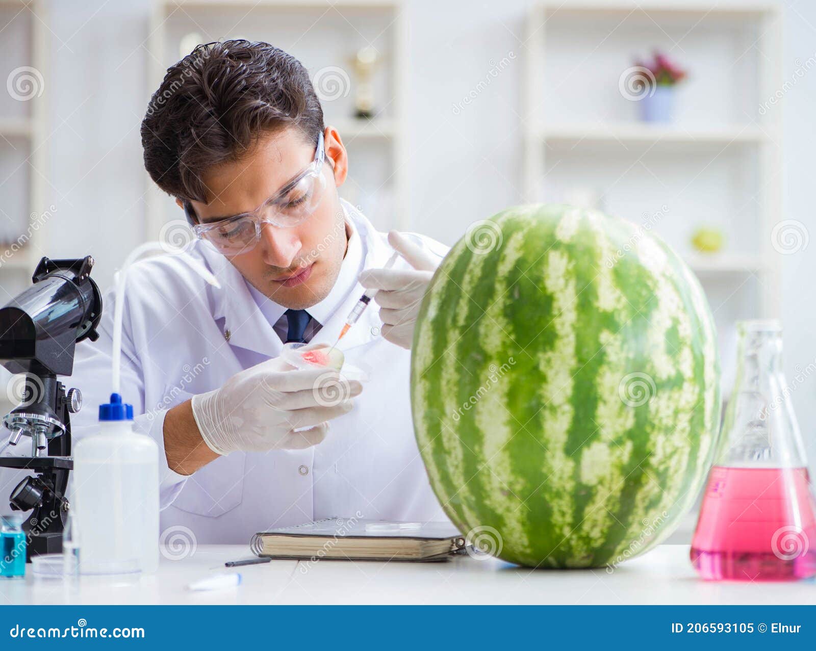 Scientist Testing Watermelon in Lab Stock Image - Image of microbiology ...