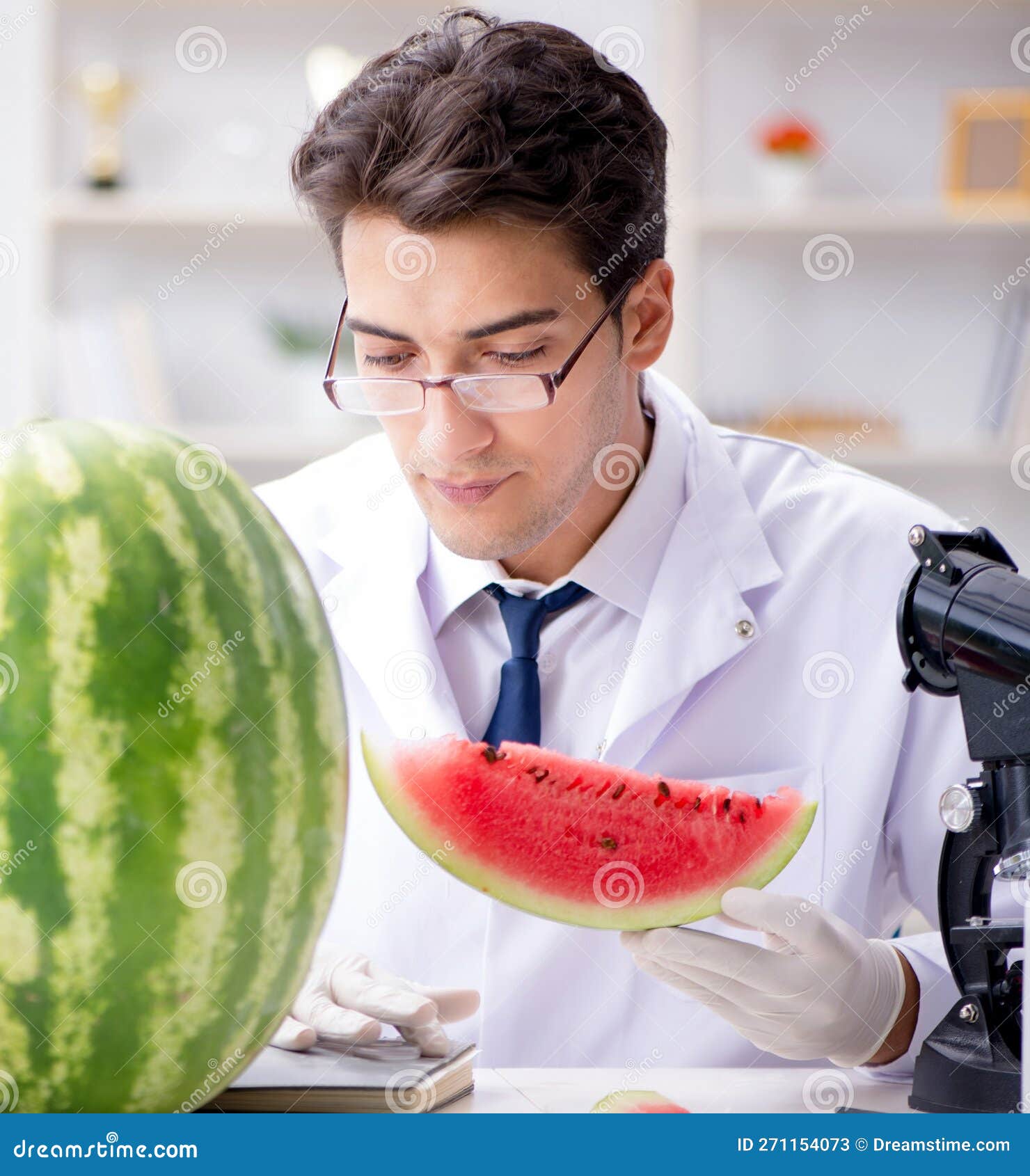 Scientist Testing Watermelon in Lab Stock Image - Image of food ...