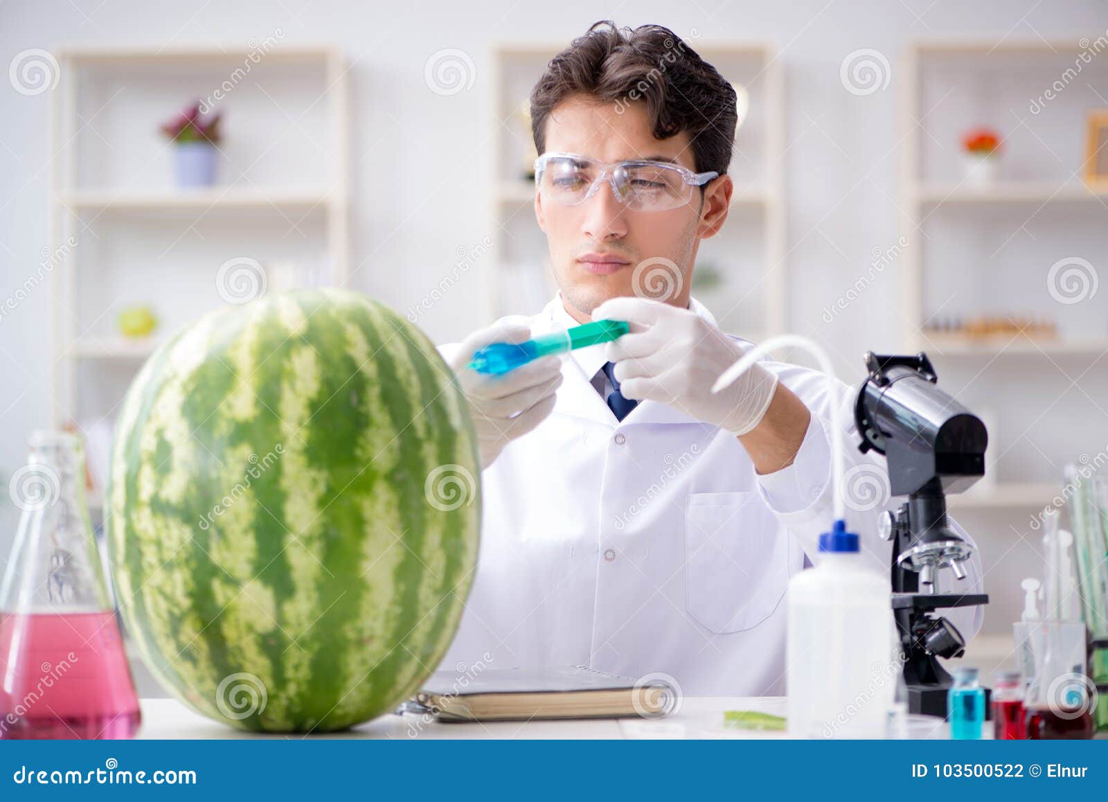 The Scientist Testing Watermelon in Lab Stock Photo - Image of ...