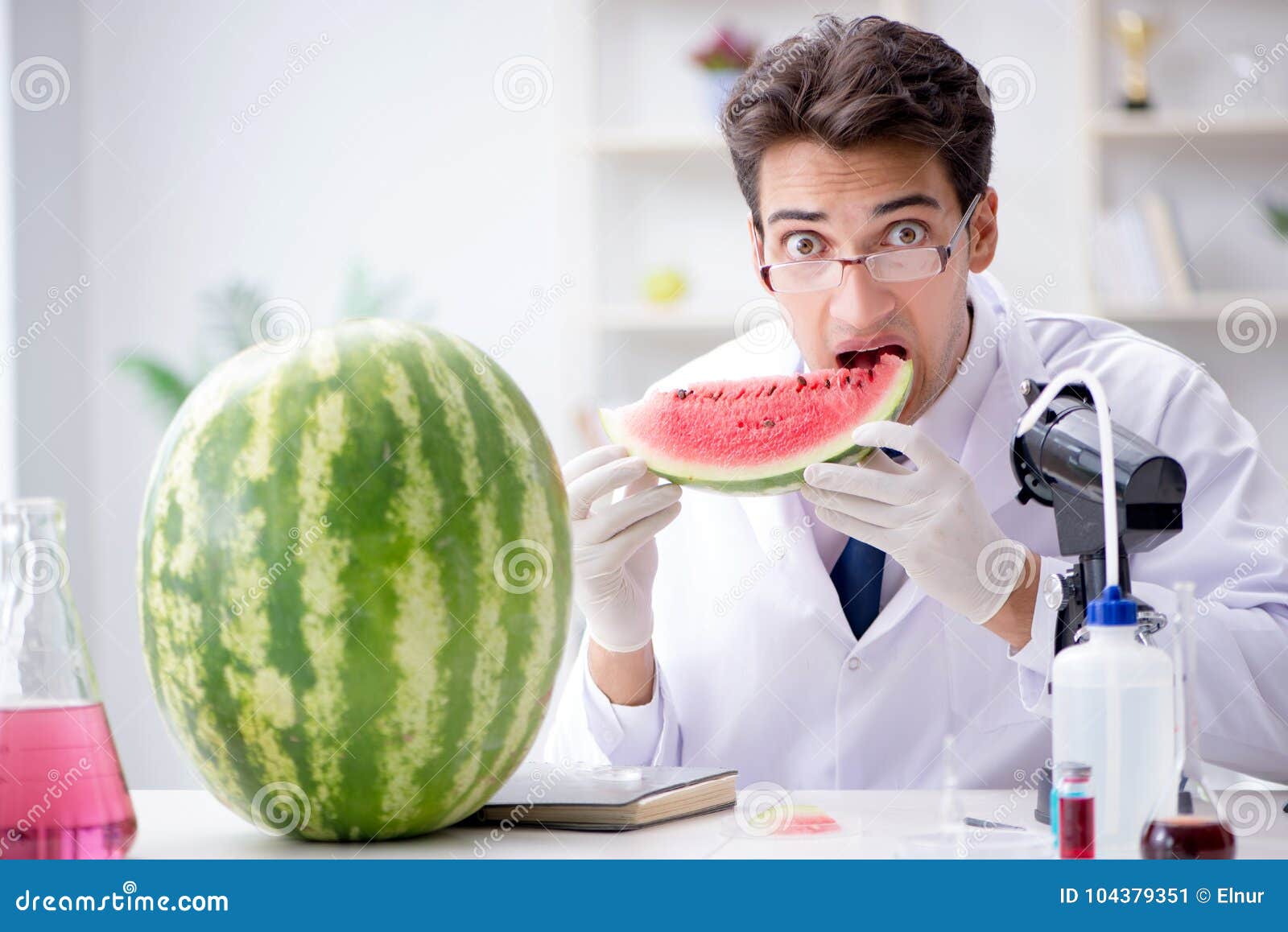 The Scientist Testing Watermelon in Lab Stock Image - Image of ...