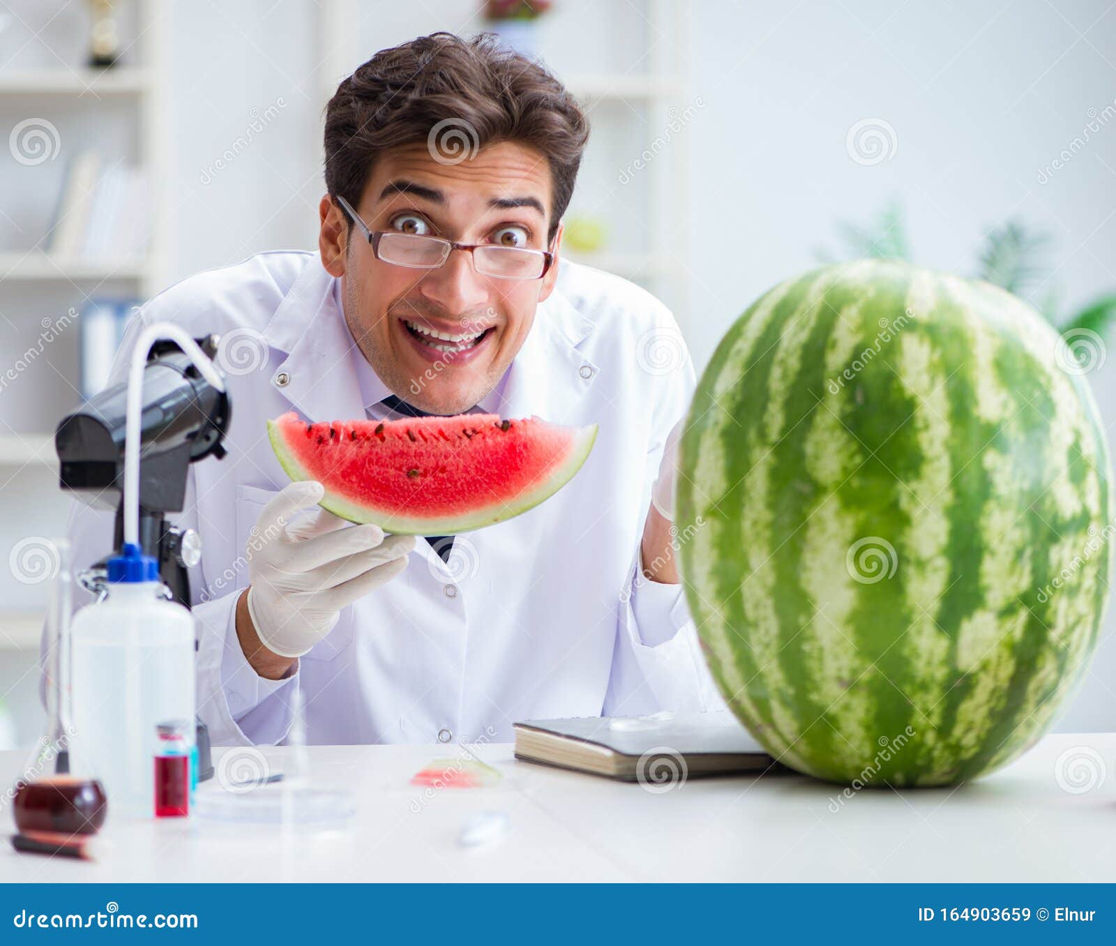 Scientist Testing Watermelon in Lab Stock Image - Image of discovery ...
