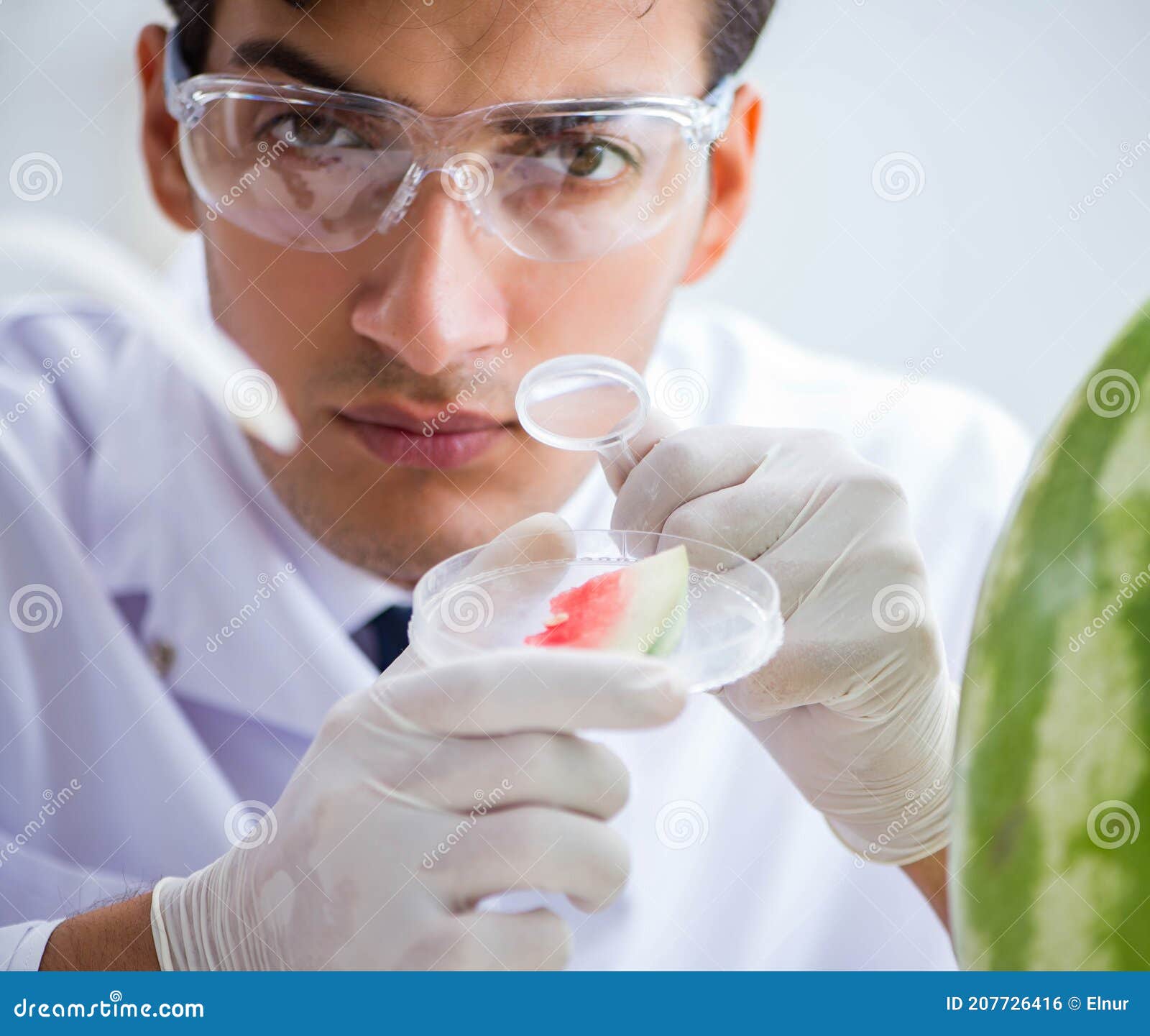 Scientist Testing Watermelon in Lab Stock Photo - Image of checking ...