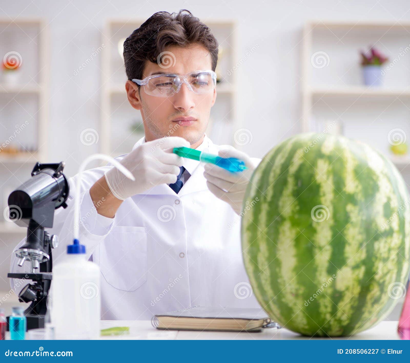 Scientist Testing Watermelon in Lab Stock Image - Image of laboratory ...