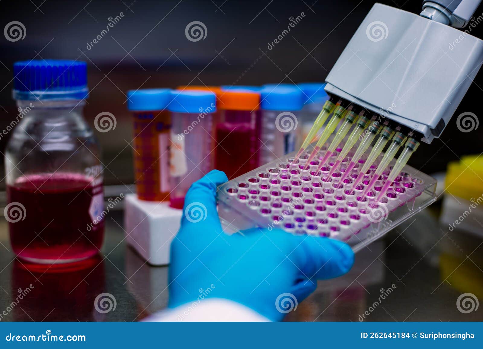 Scientist Using Micropipette or Multi Pipette in Sample Preparation for ...