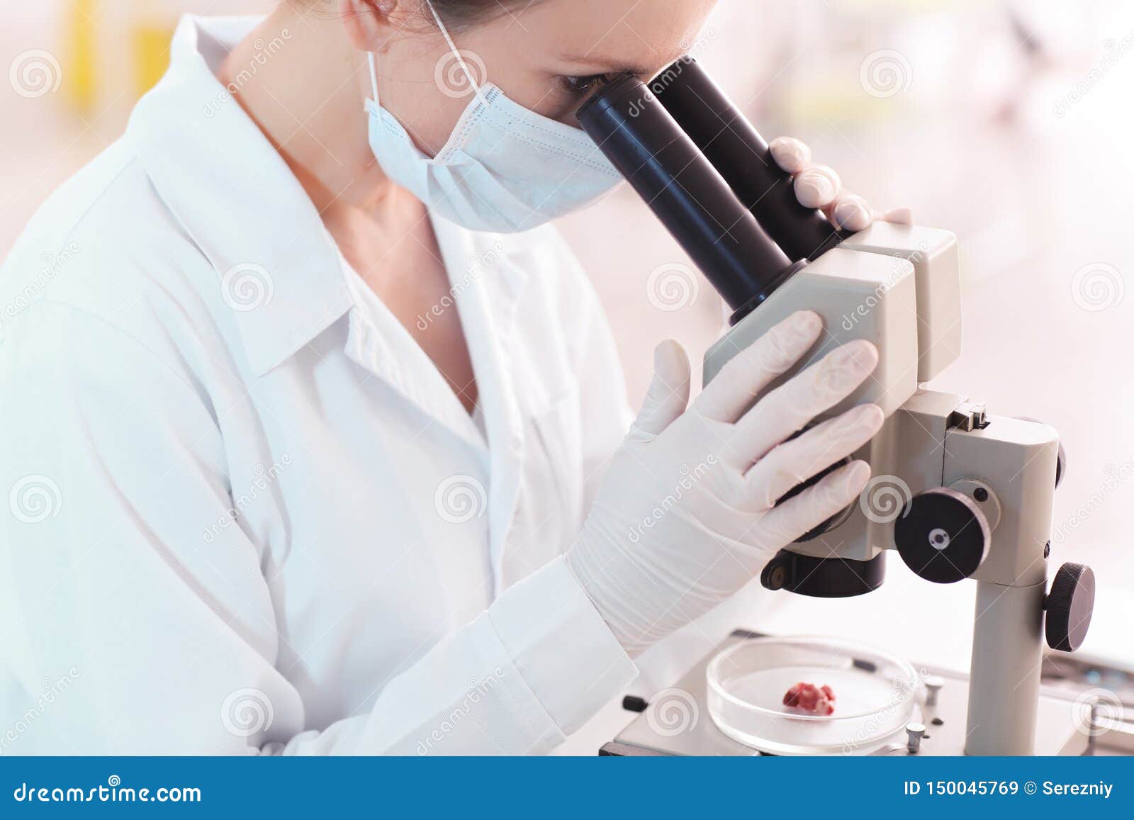 Scientist Using Microscope for Examining Meat Sample in Laboratory ...