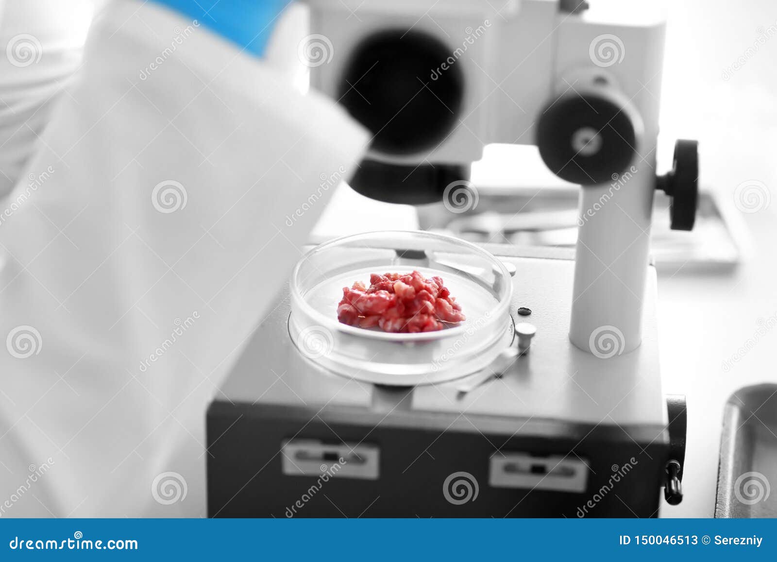 Scientist Using Microscope for Examining Meat Sample in Laboratory ...