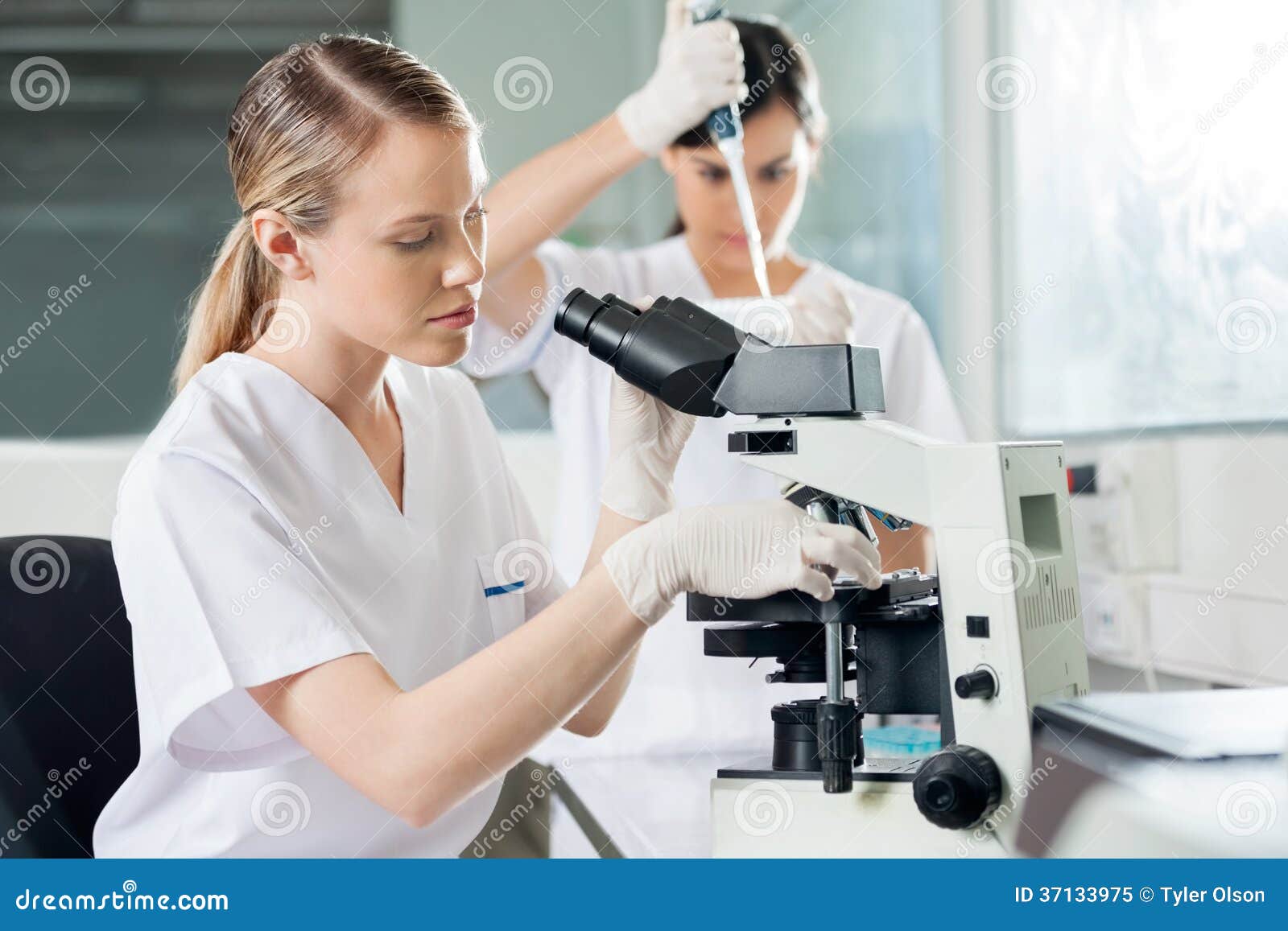 Scientist Using Microscope in Lab Stock Image - Image of diagnosis ...
